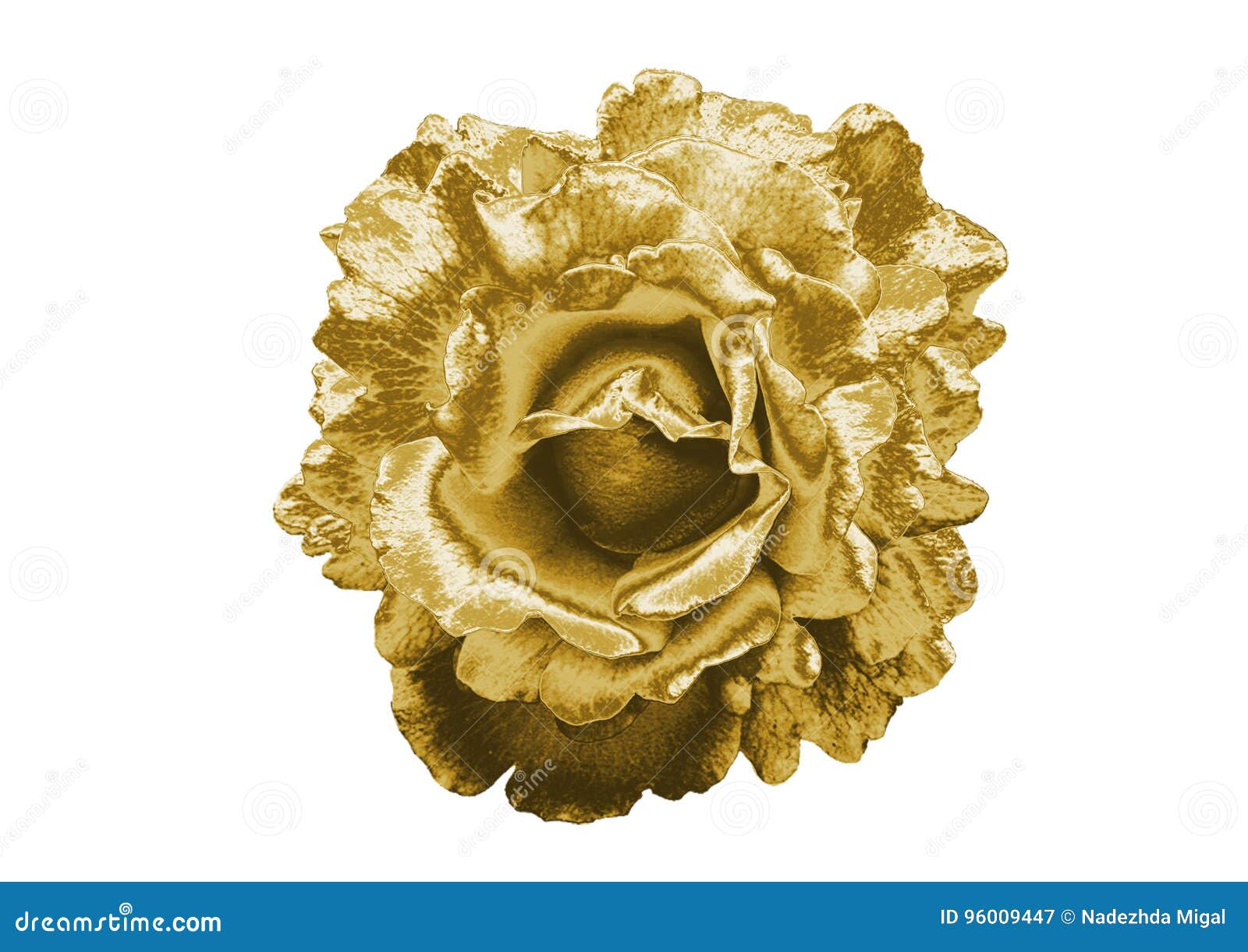 Flor de oro hermosa imagen de archivo. Imagen de hermoso - 96009447