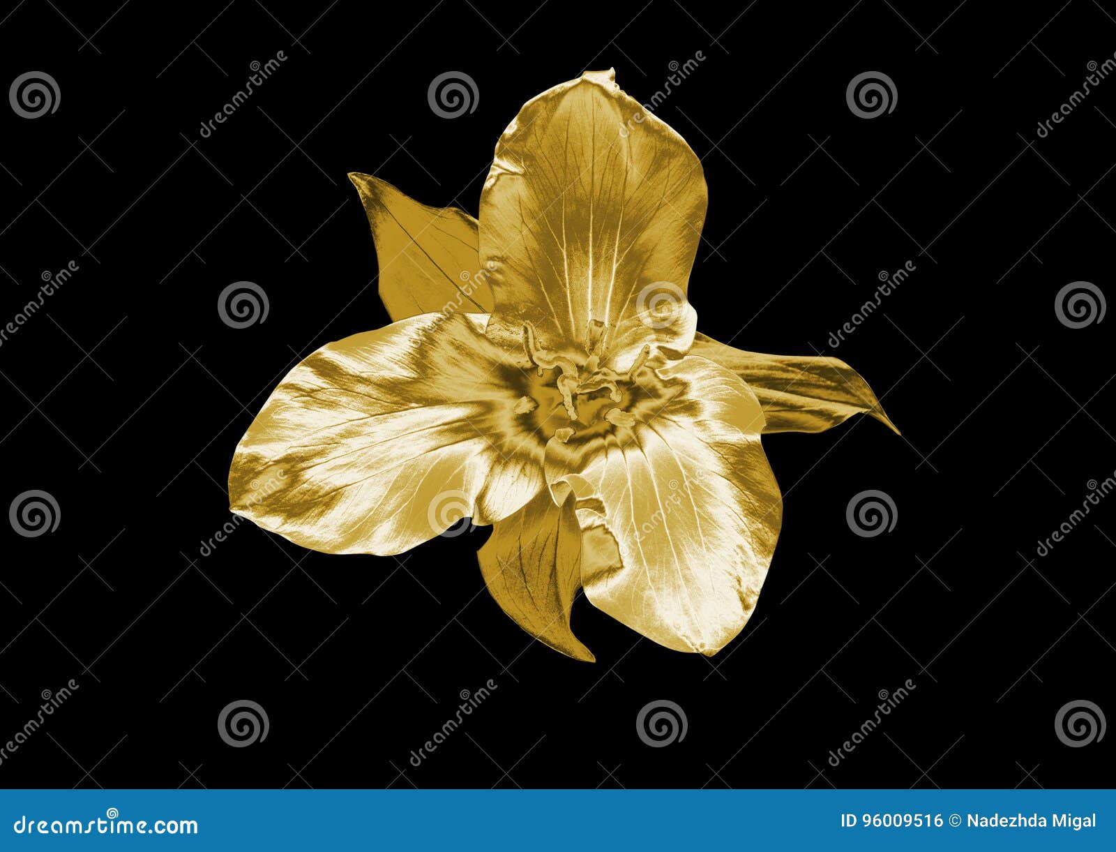 Flor de oro hermosa foto de archivo. Imagen de flor, cierre - 96009516