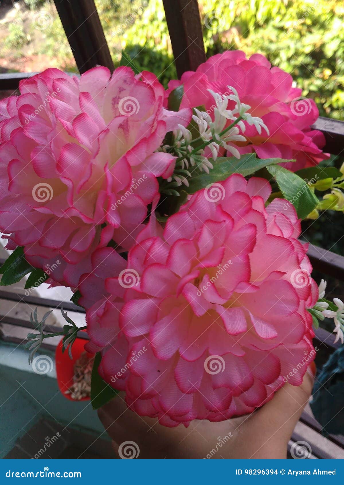 ¿flor del amor? imagen de archivo editorial. Imagen de cubo - 98296394