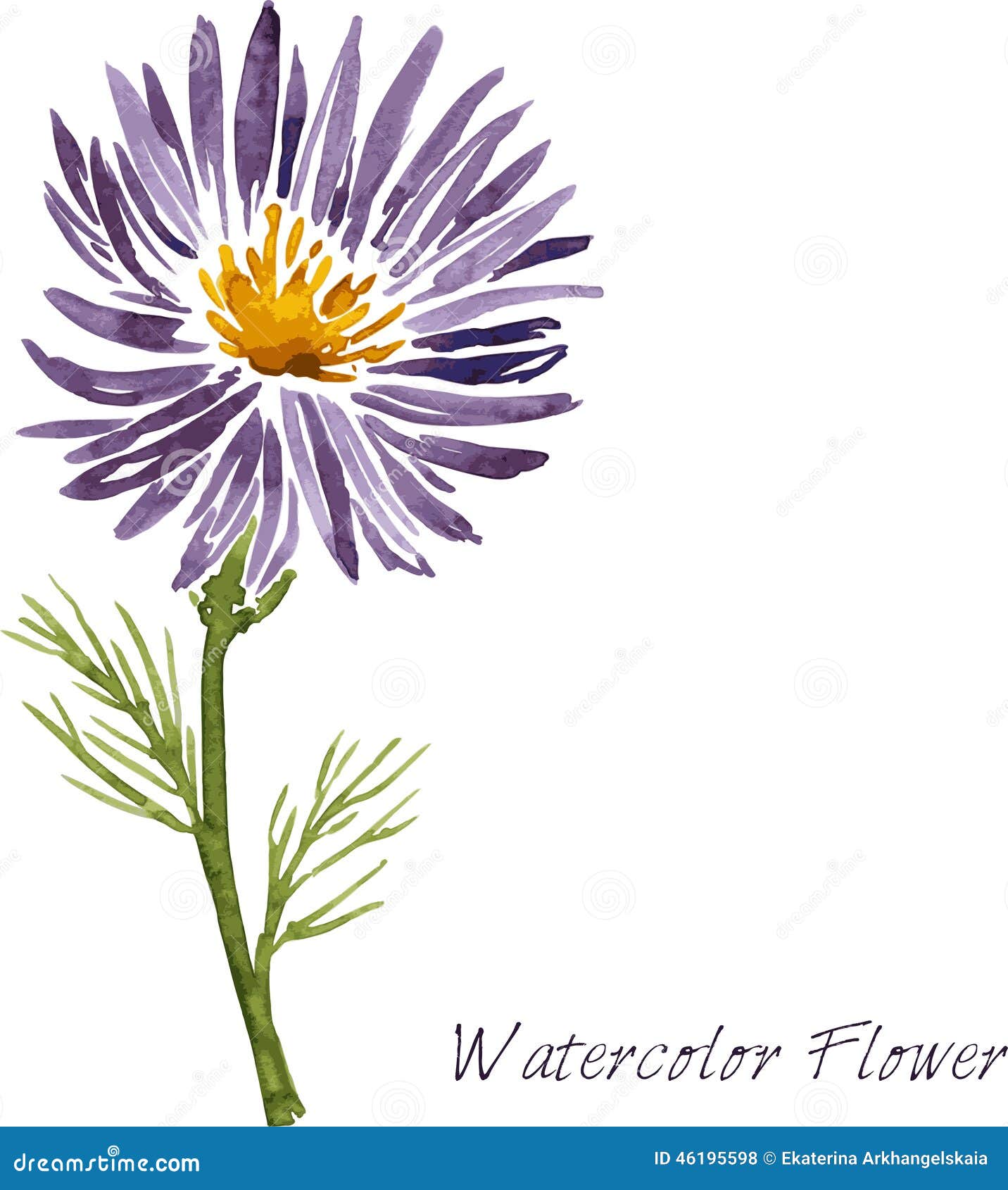 Flor Del Dibujo De La Acuarela Ilustración del Vector - Ilustración de ...