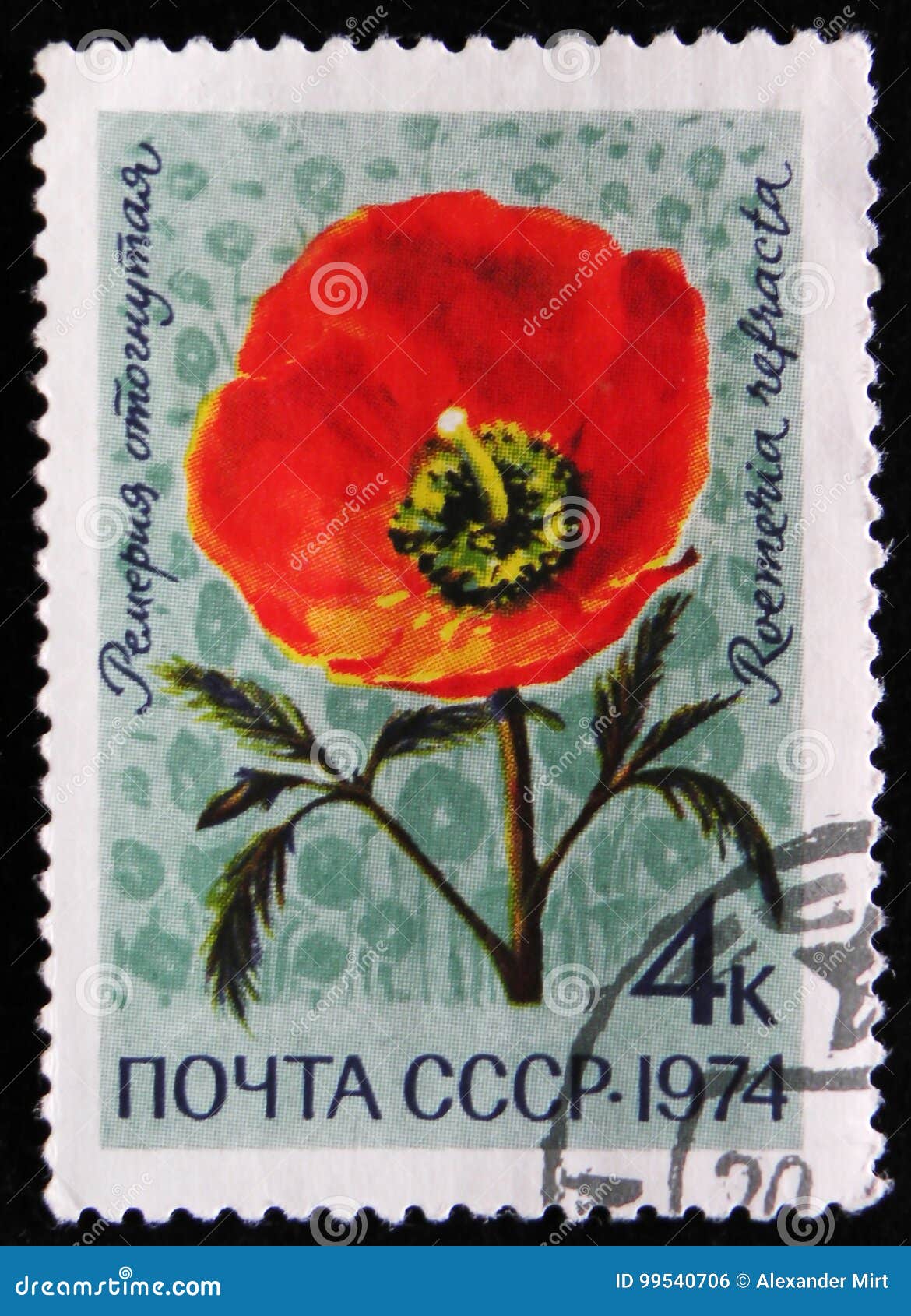 Flor Del Refracta De Roemeria, Circa 1974 Foto editorial - Imagen de ...