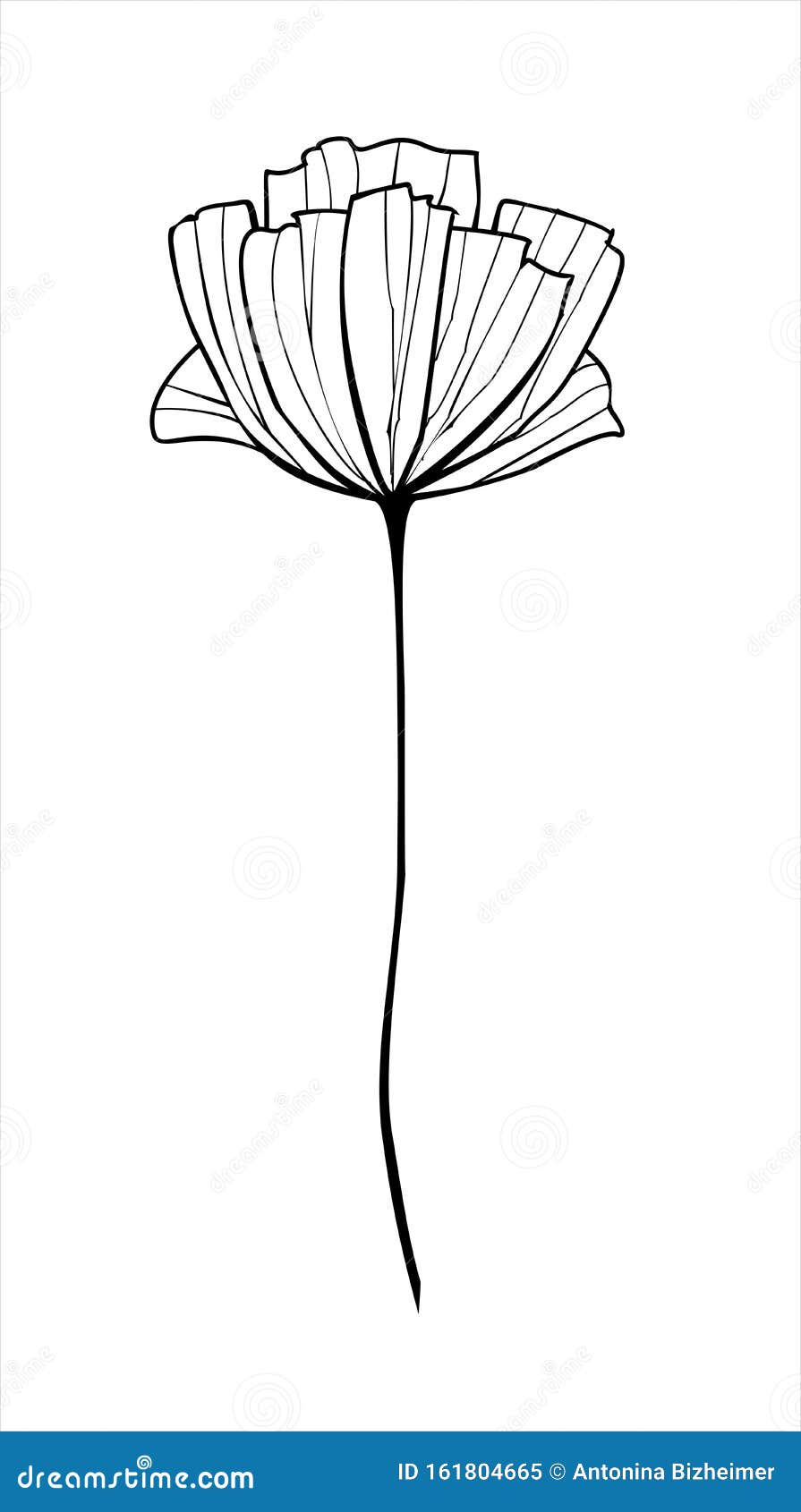 Flor Dibujada a Mano Delineada Por El Vector Stock de ilustración ...