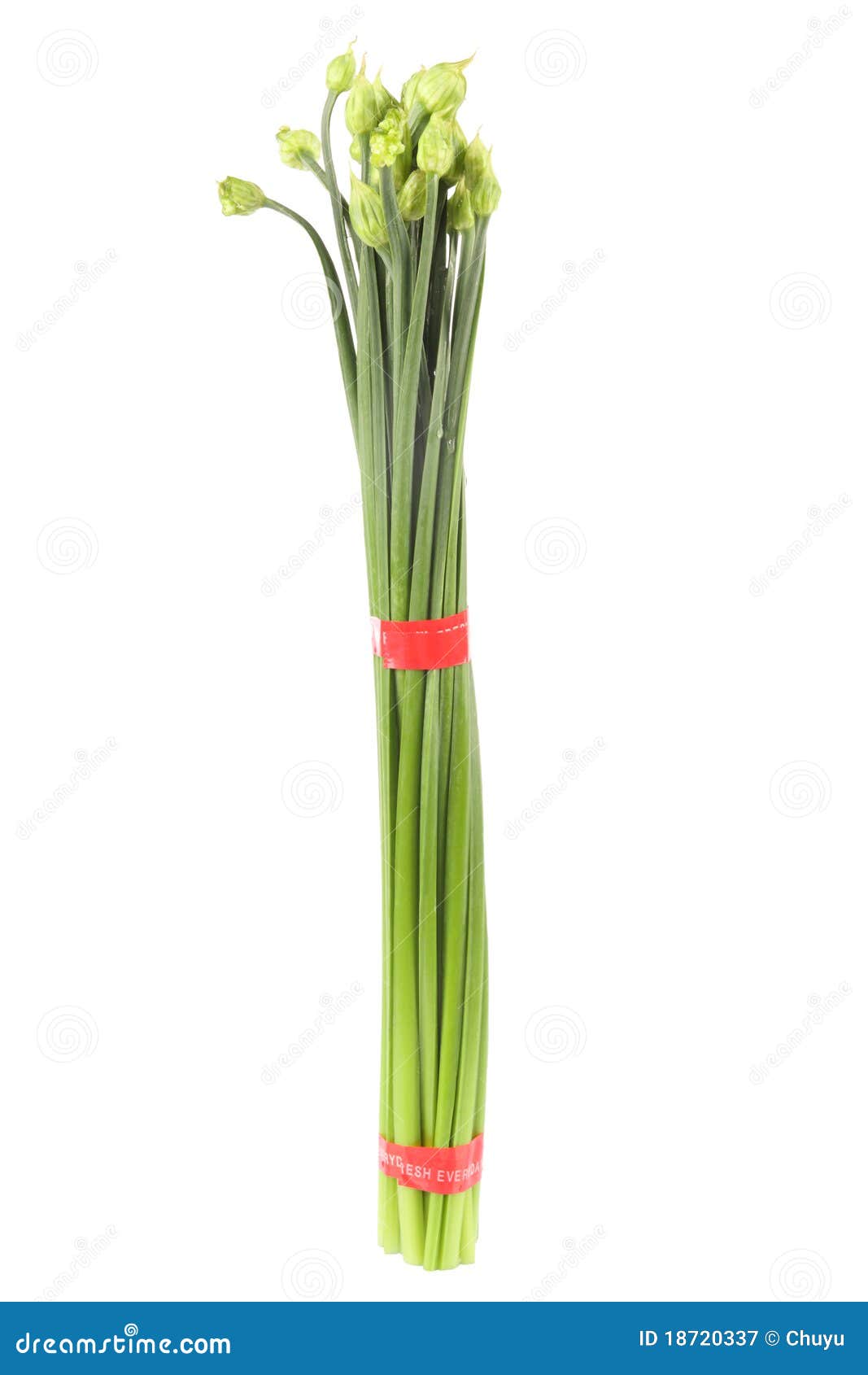 Flor do cebolinho imagem de stock. Imagem de haste, orgânico - 18720337