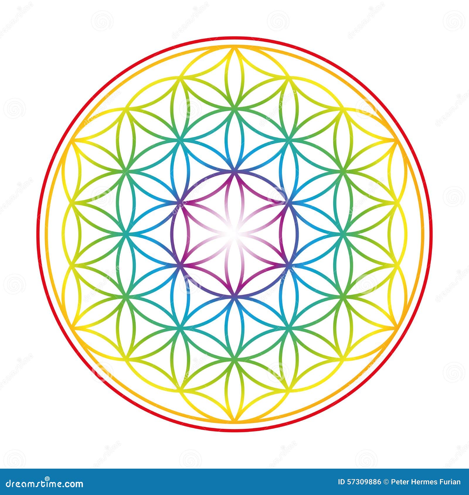 Flor Do Fulgor Vibrante Colorido Da Vida Ilustração do Vetor ...