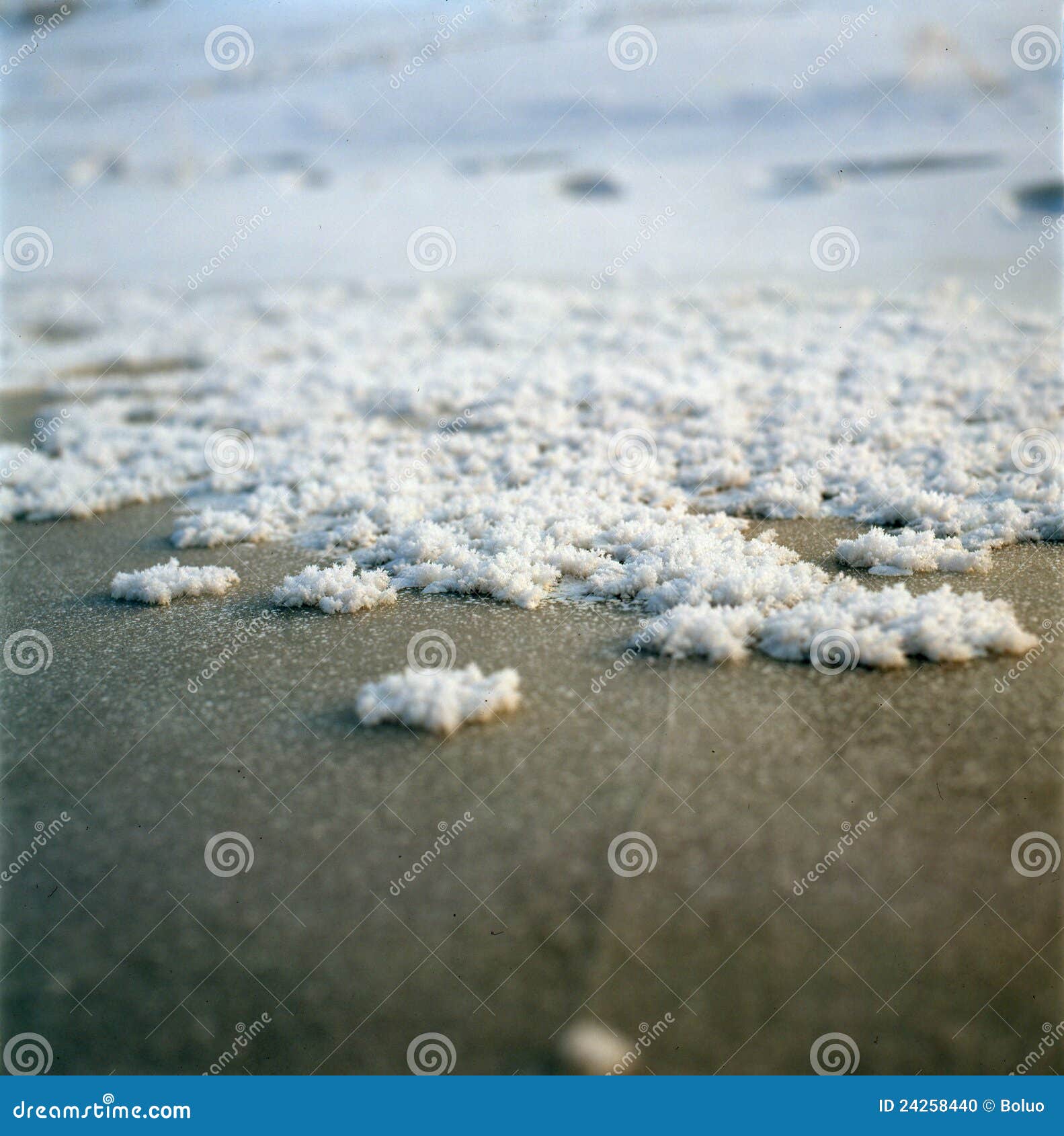 Flor do gelo foto de stock. Imagem de neve, névoa, rima - 24258440