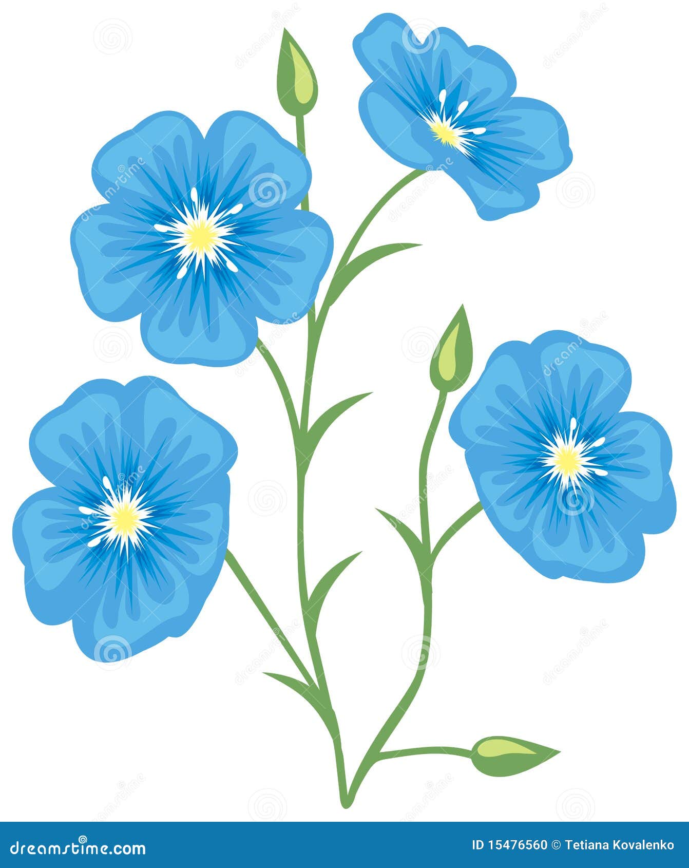 Flor Do Linho (usitatissimum De Linum) Ilustração do Vetor - Ilustração ...