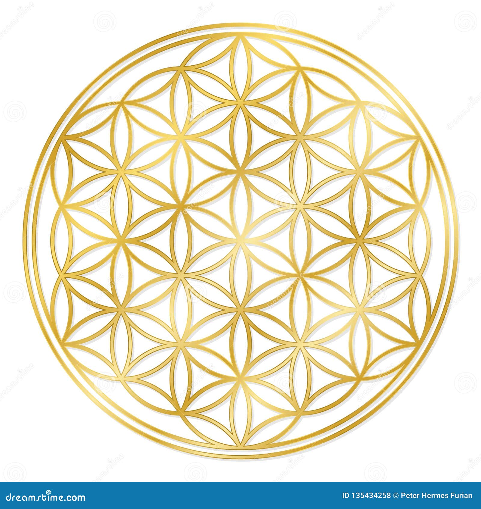 Flor Dourada Da Vida Ilustração Do Vetor Ilustração De Mandala 135434258