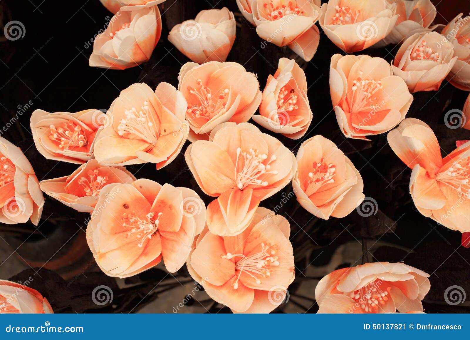 Flor Emilia Romagna Italy imagen de archivo. Imagen de cierre - 50137821