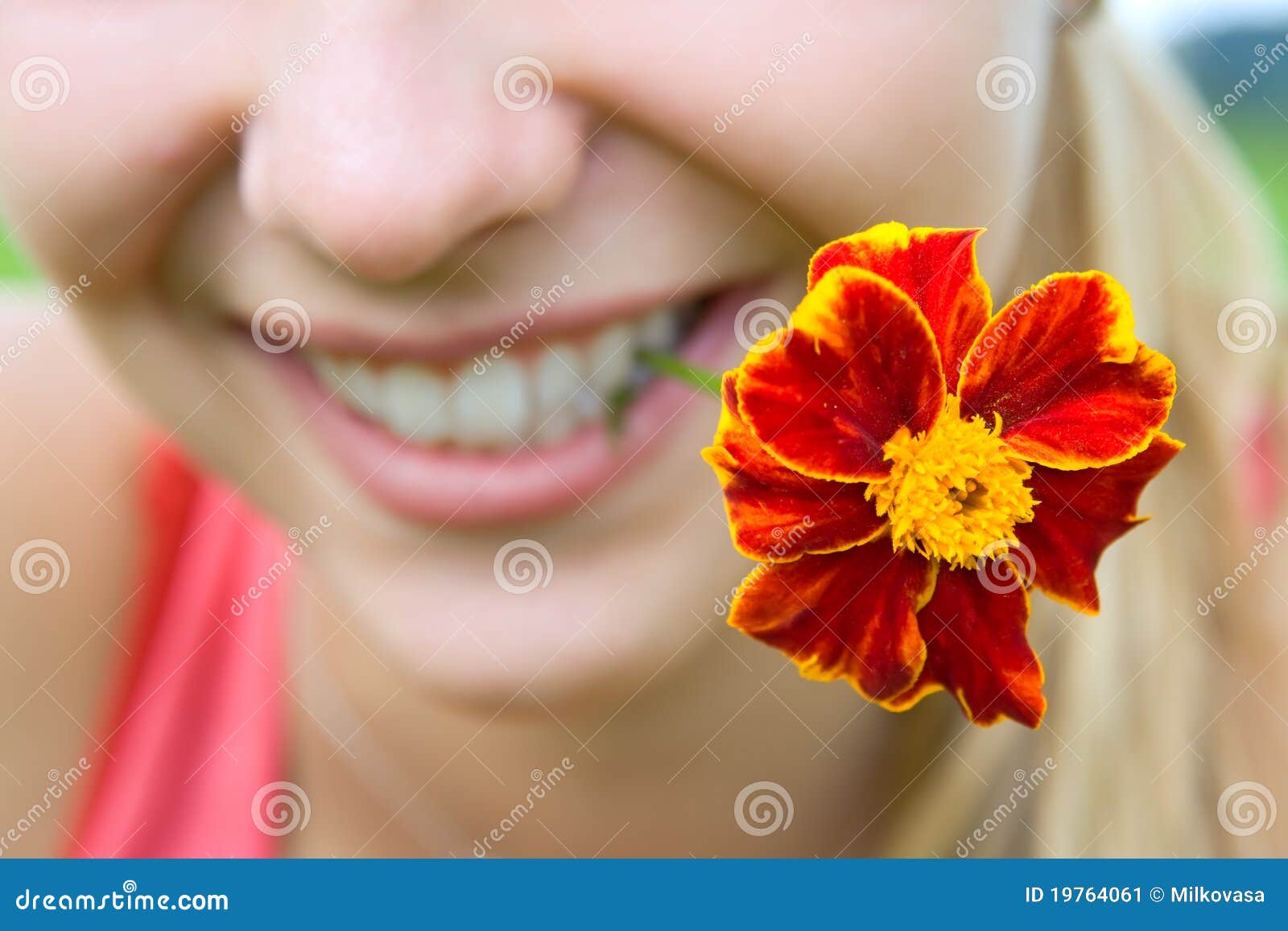Flor en la boca imagen de archivo. Imagen de muchachas - 19764061