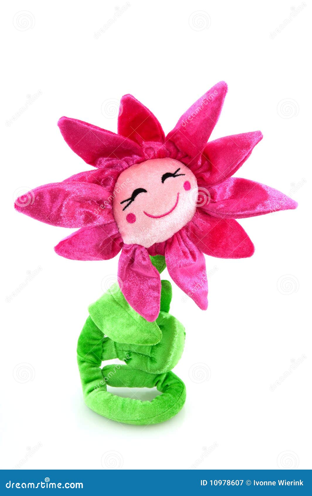 Flor feliz imagen de archivo. Imagen de cubo, sonriente - 10978607