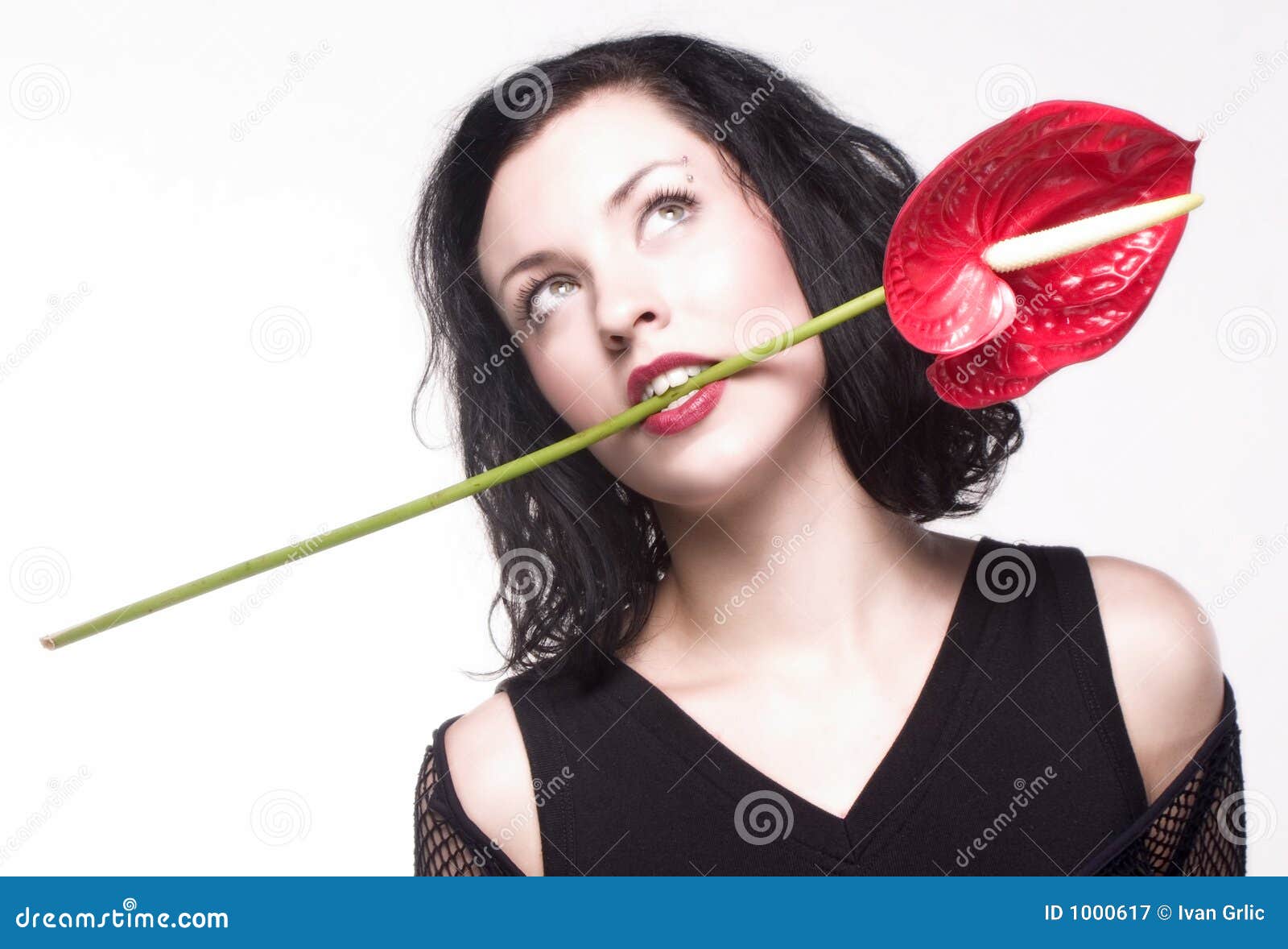 Flor na boca 2 imagem de stock. Imagem de maravilha, amor - 1000617