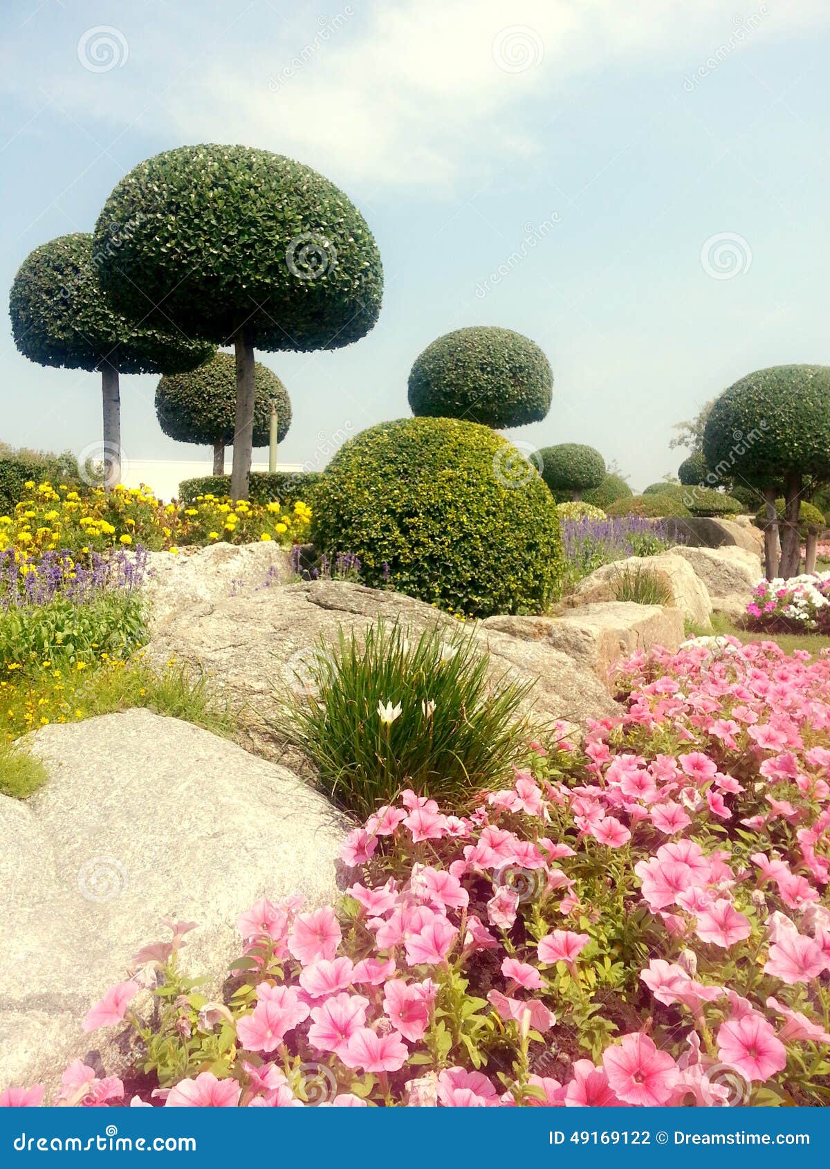 Flor - Roca - árbol: Interdependencia Foto de archivo - Imagen de roca ...