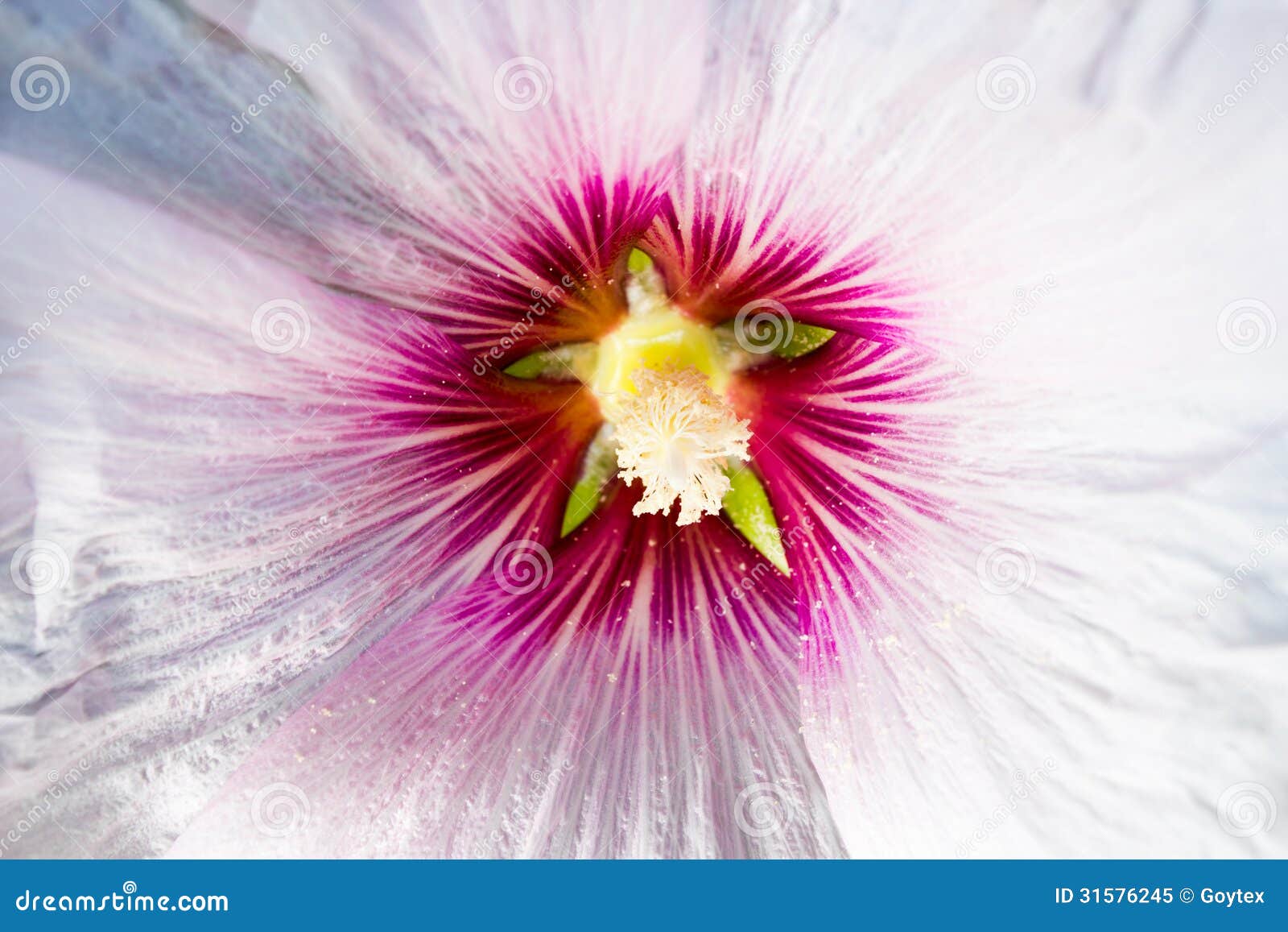 Flor tradicional coreana imagen de archivo. Imagen de fresco - 31576245