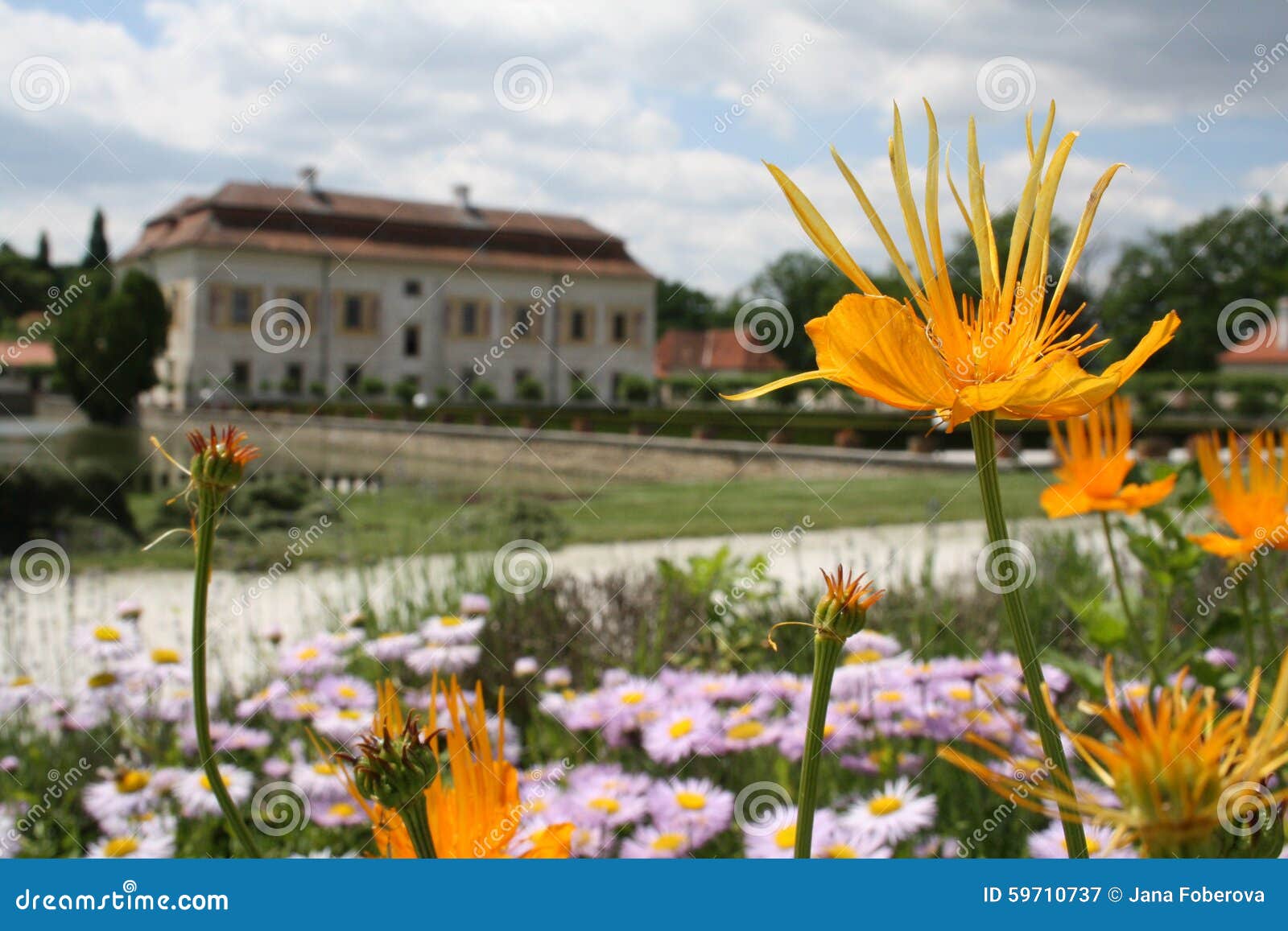 Flor y castillo imagen de archivo. Imagen de bohemia - 59710737