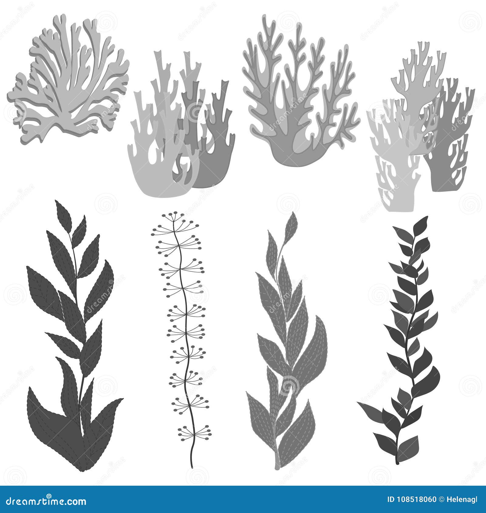Flora marina dibujada mano ilustración del vector. Ilustración de ...