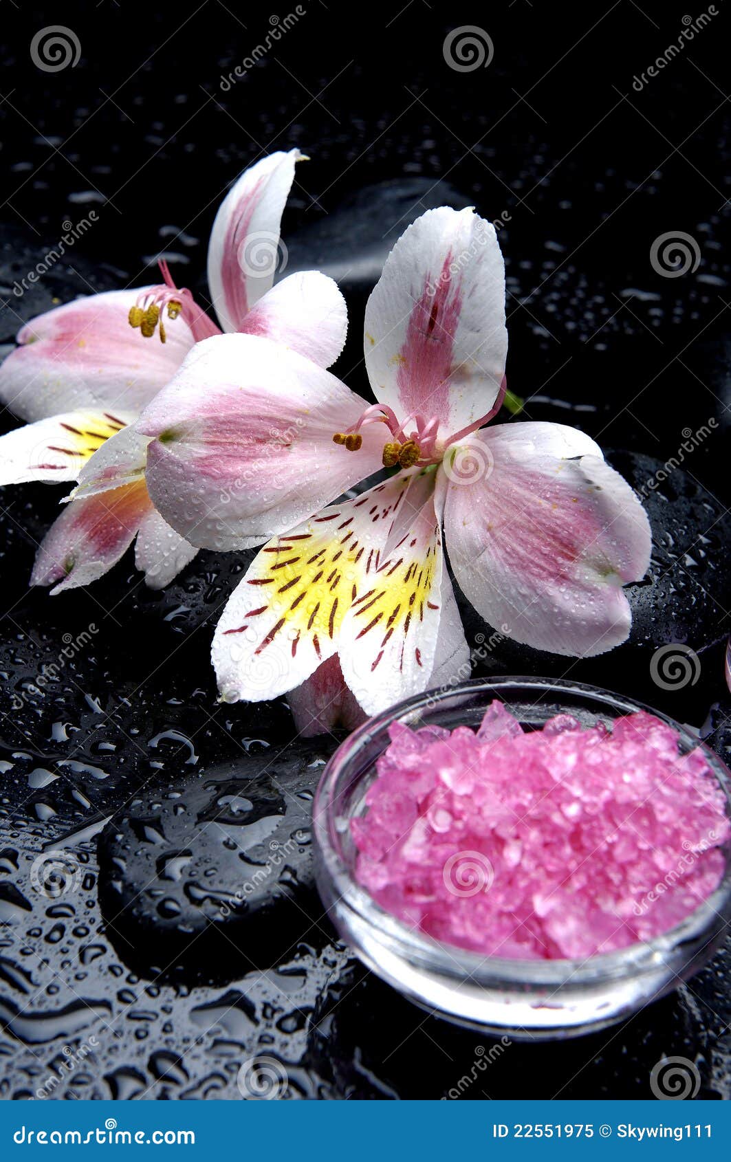 Flora Spa stock image. Image of bath, alternative, feminine - 22551975