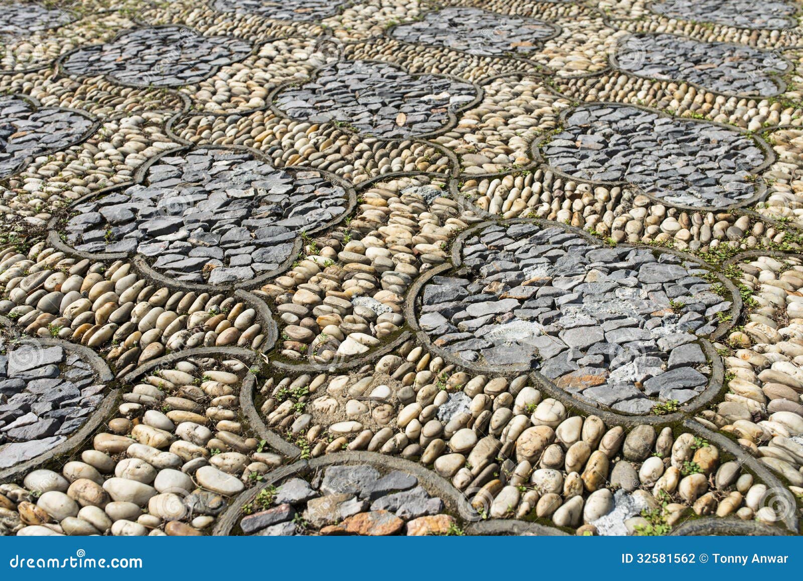 Flora Stone Pavement stock photo. Image of background - 32581562