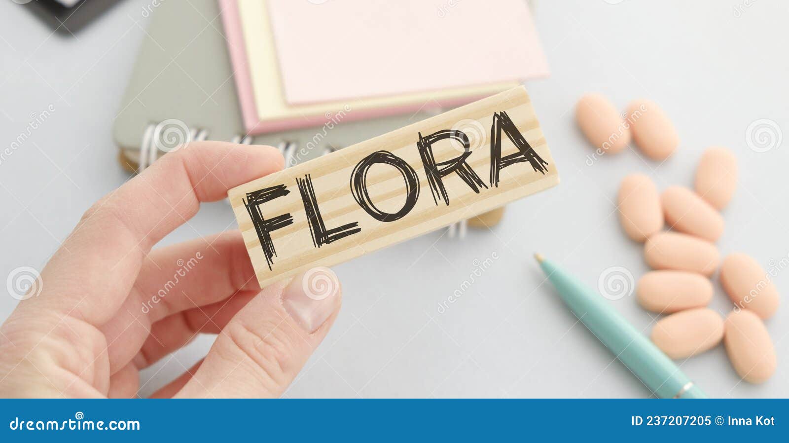FLORA Word Made with Building Blocks Stock Image - Image of business ...