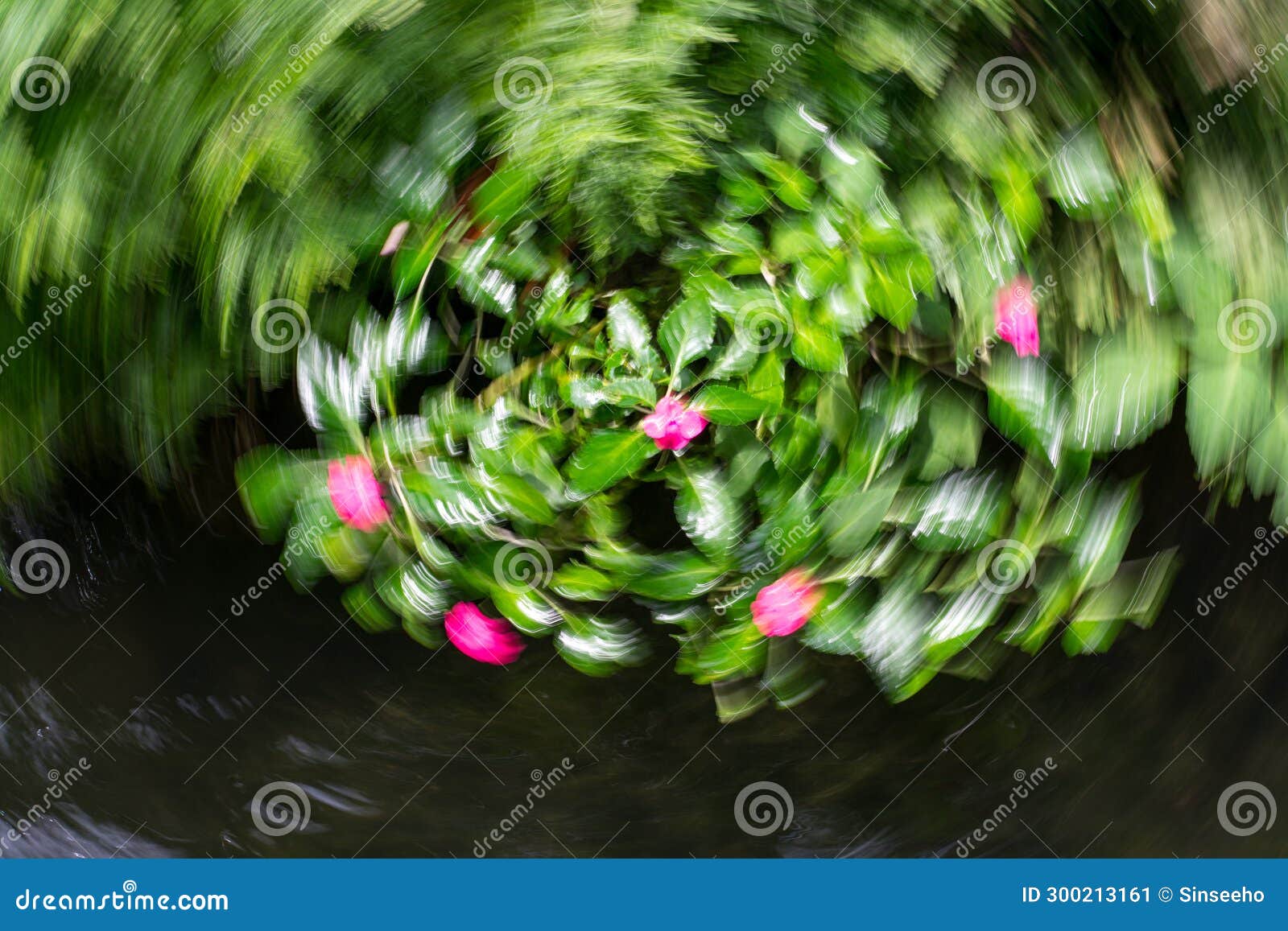 Floral Abstract As Nature Background Stock Image - Image of bloom, copy ...
