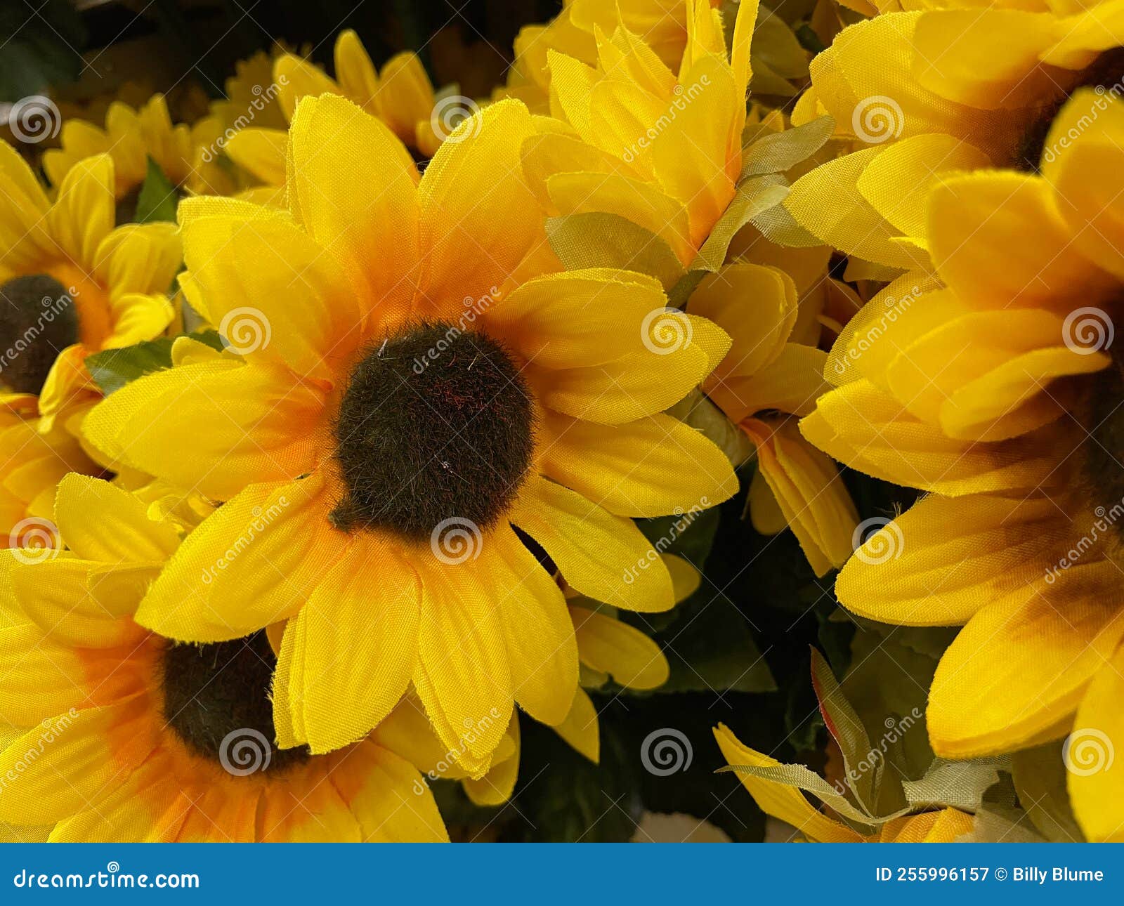 Floral Abstract Background Dark Yellow Daisy Stock Image - Image of ...
