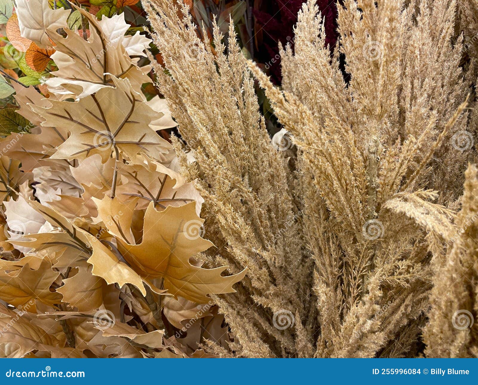 Floral Abstract Background Fuzzy White Fall Colors Stock Photo - Image ...