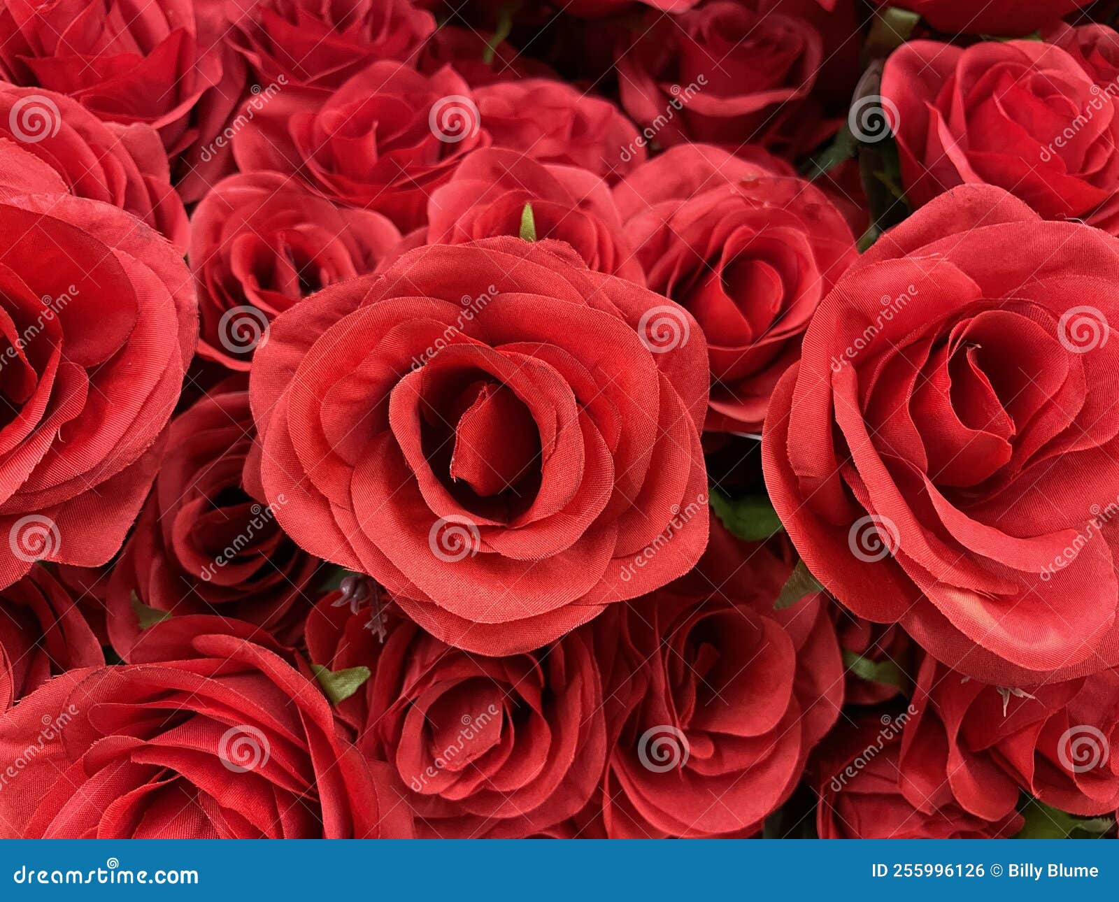 Floral Abstract Background Group of Red Roses Stock Photo - Image of ...