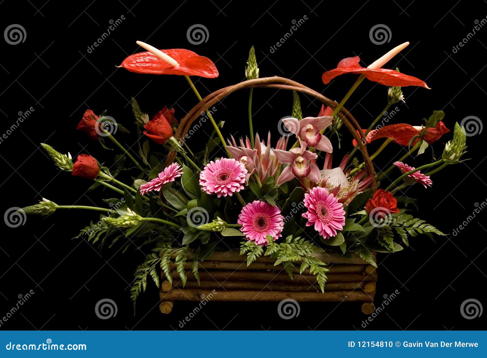 Floral Arrangement Assorted Flowers Stock Photo - Image of botany ...