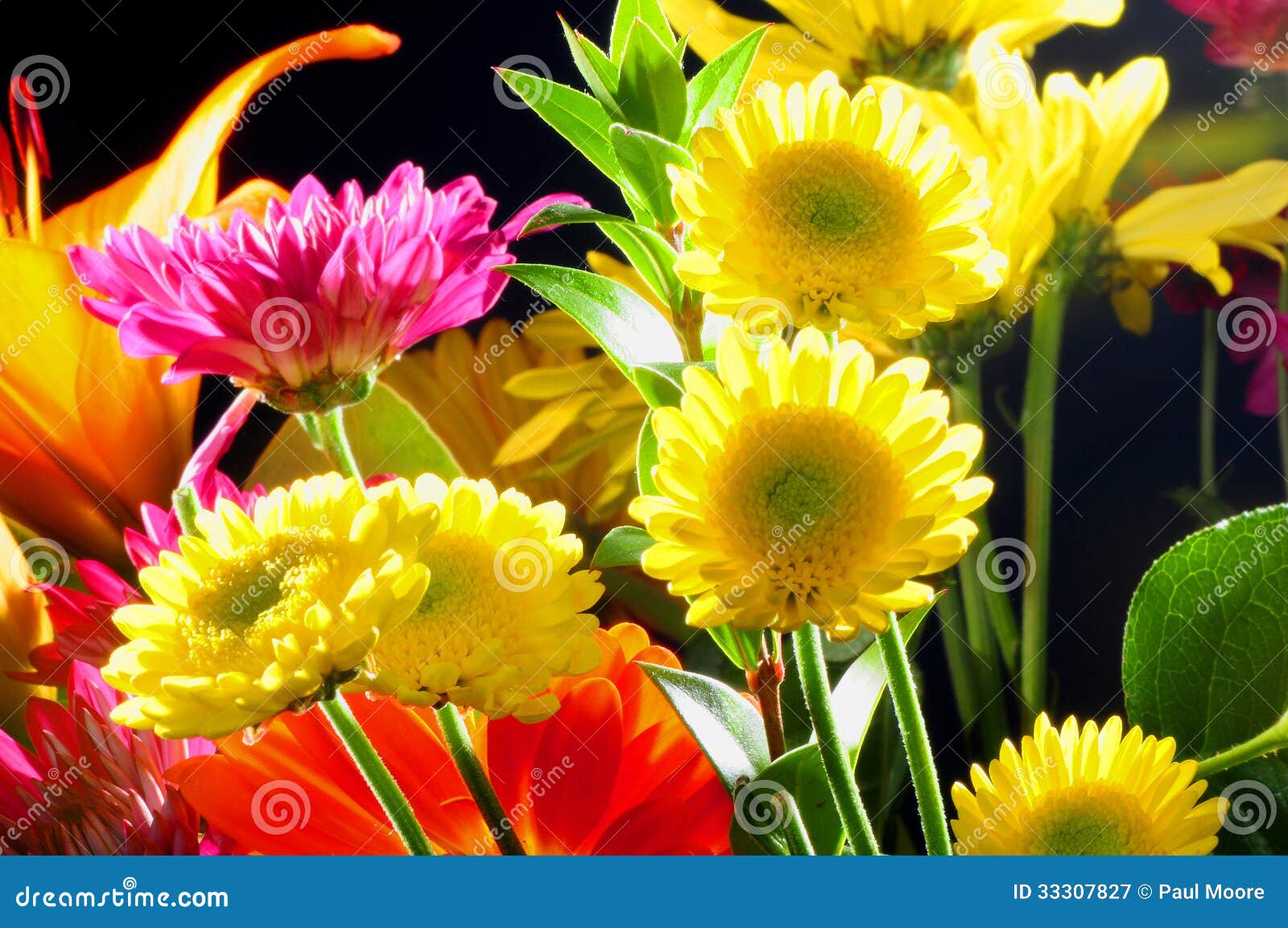 Floral Arrangement stock image. Image of arrangement - 33307827