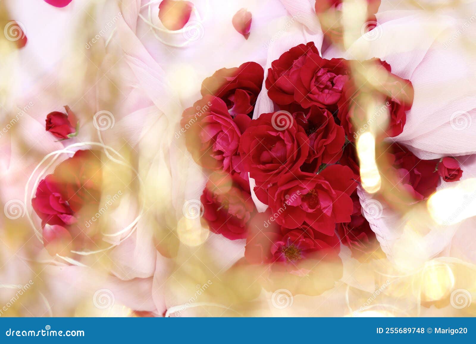 Floral Arrangement of Red Roses . Stock Photo - Image of rose, romance ...