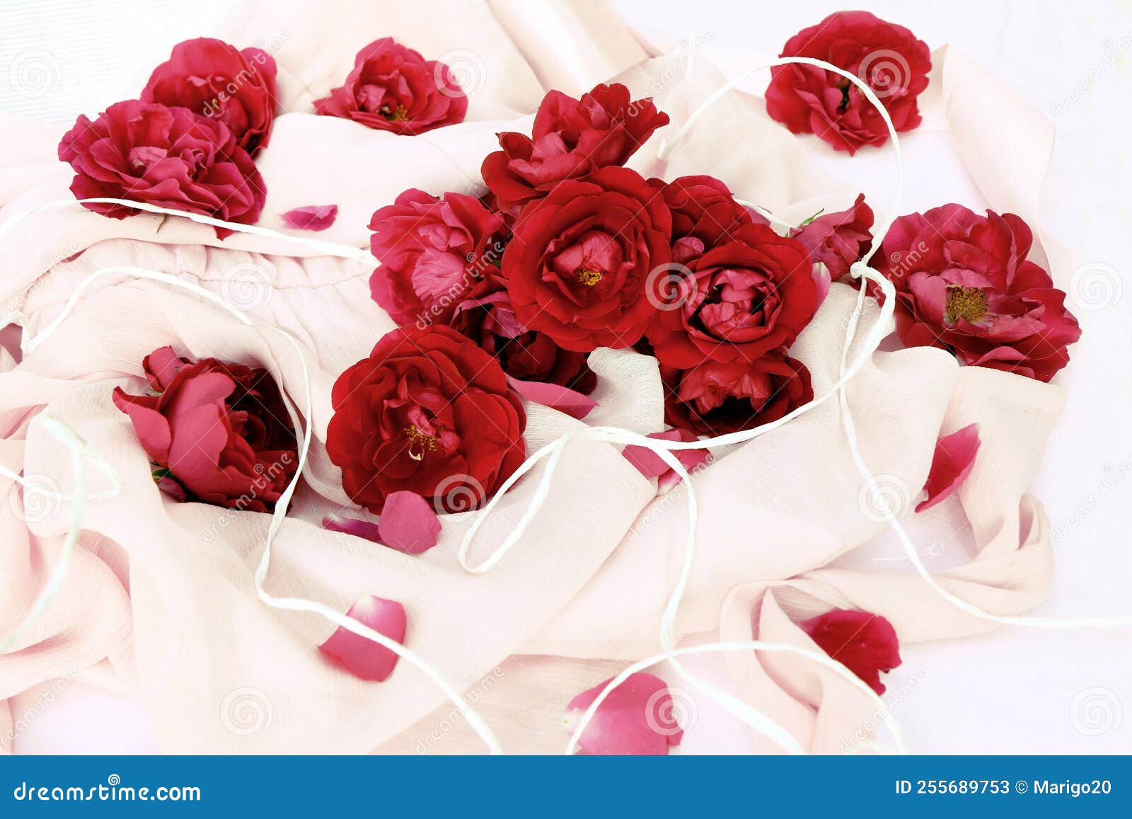 Floral Arrangement of Red Roses . Stock Image - Image of decoration ...