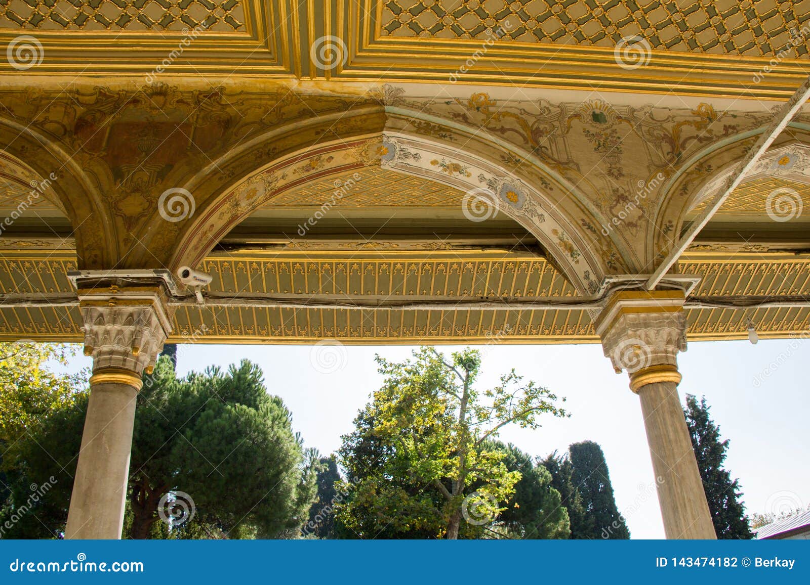 Floral Art Pattern Example of the Ottoman Time Stock Photo - Image of ...