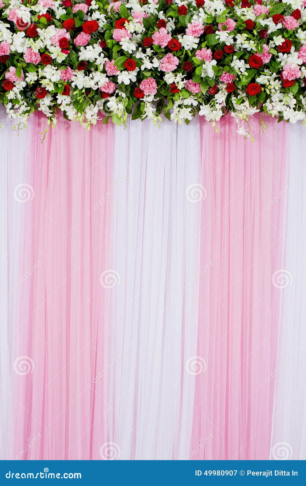 Floral backdrop stock image. Image of decorations, design - 49980907