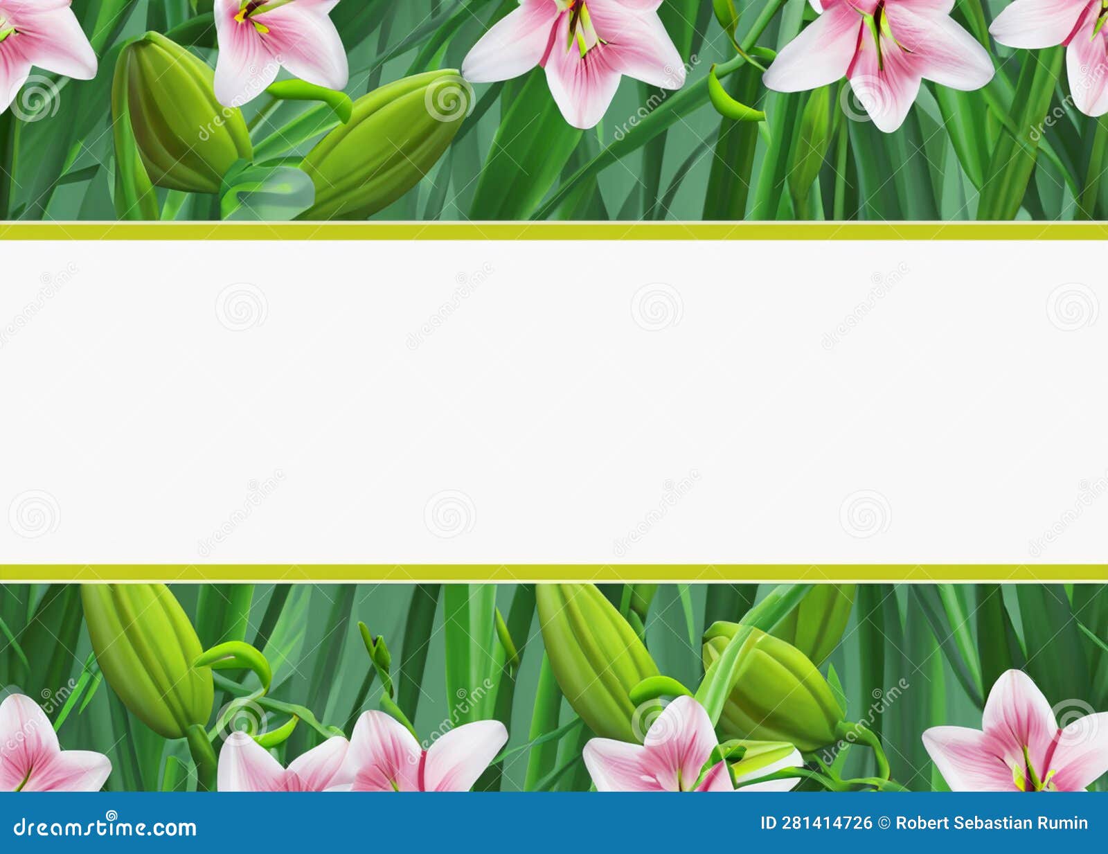 Beautiful Lilies Border Background Stock Photo - Image of tulip, pink ...