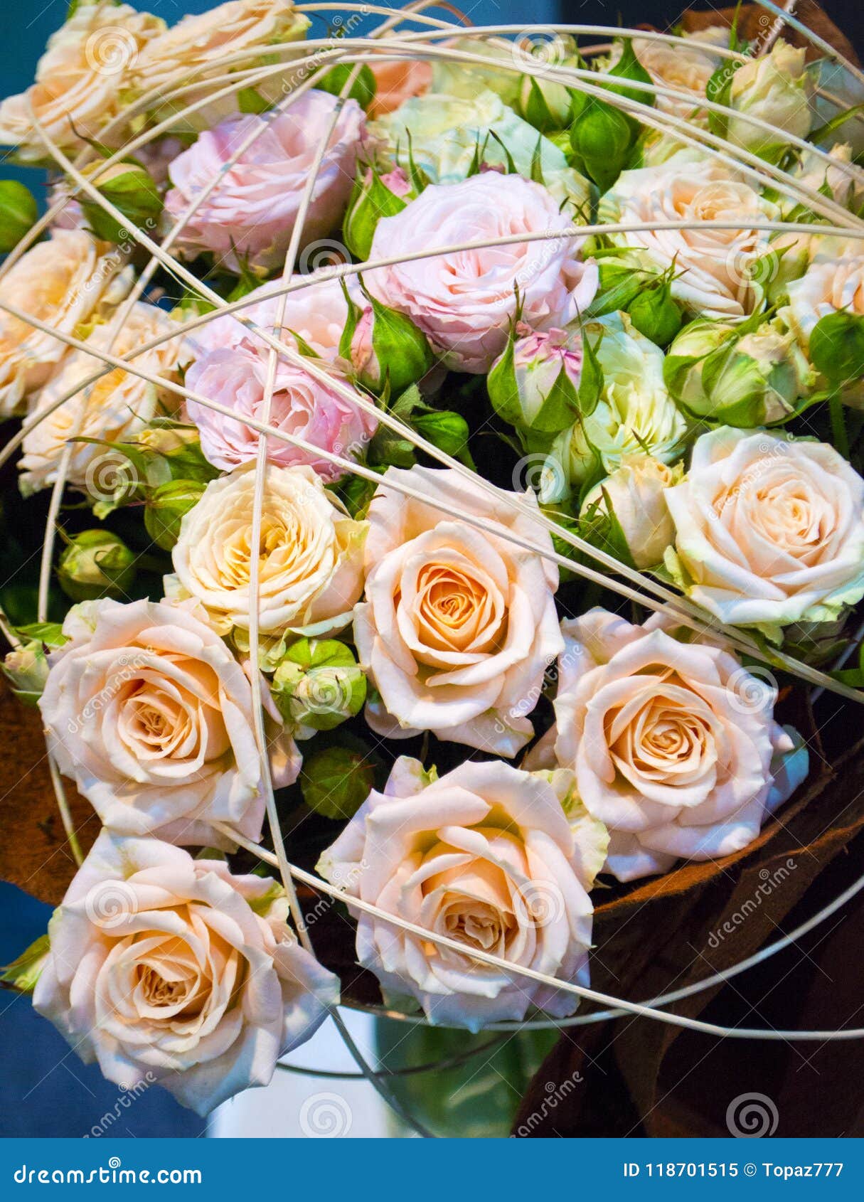 Floral Background of Peach Roses Stock Image - Image of bloom, holiday ...