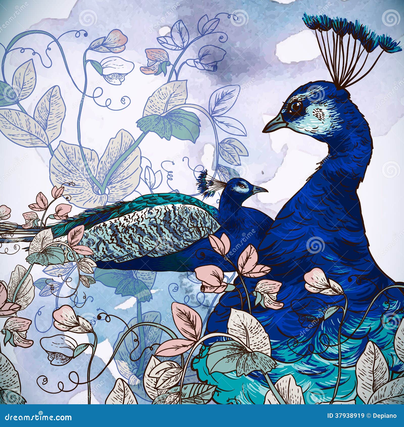 Peacock Background 01 Vector Illustration | CartoonDealer.com #62163536