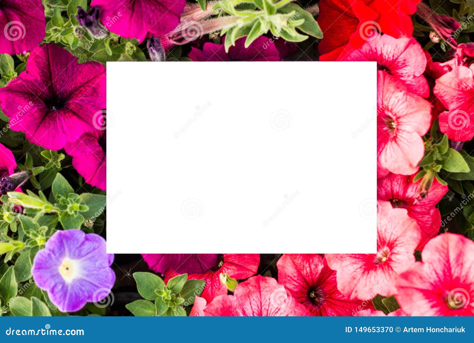 Floral Background with a Rectangular Shape White-colored. Mockup ...