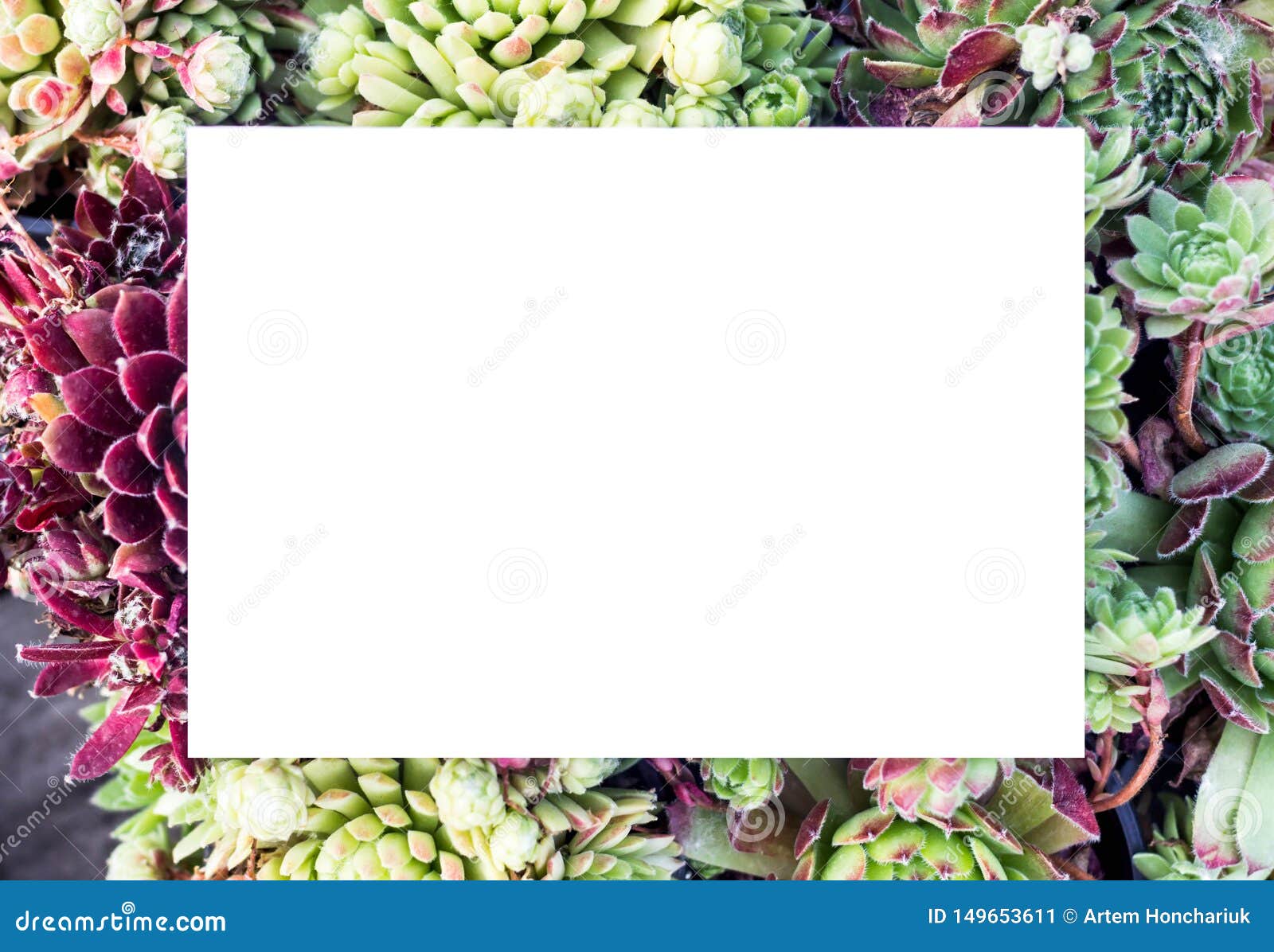 Floral Background with a Rectangular Shape White-colored. Mockup ...