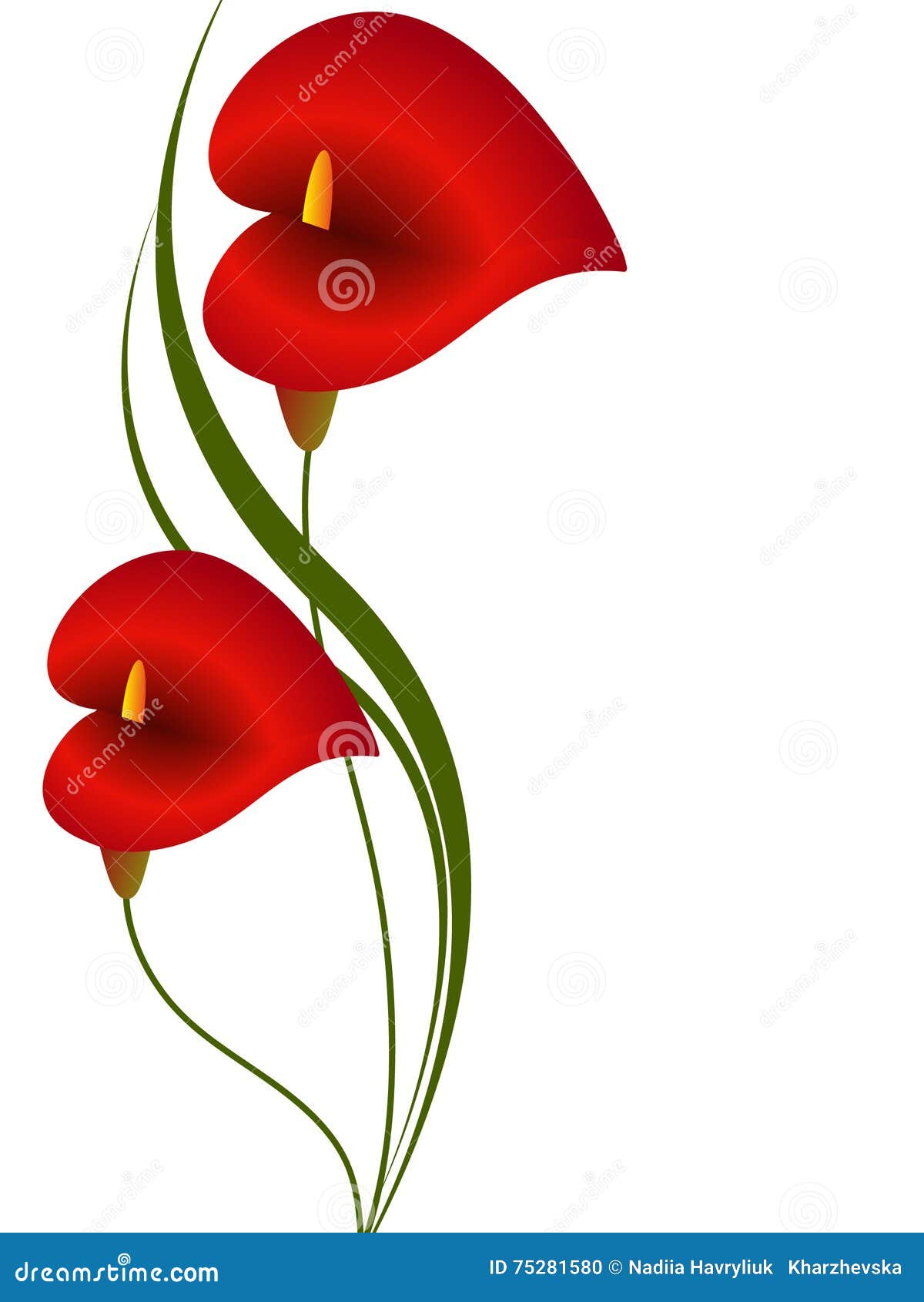 Floral Background with Red Calla, Design Element. Stock Vector ...