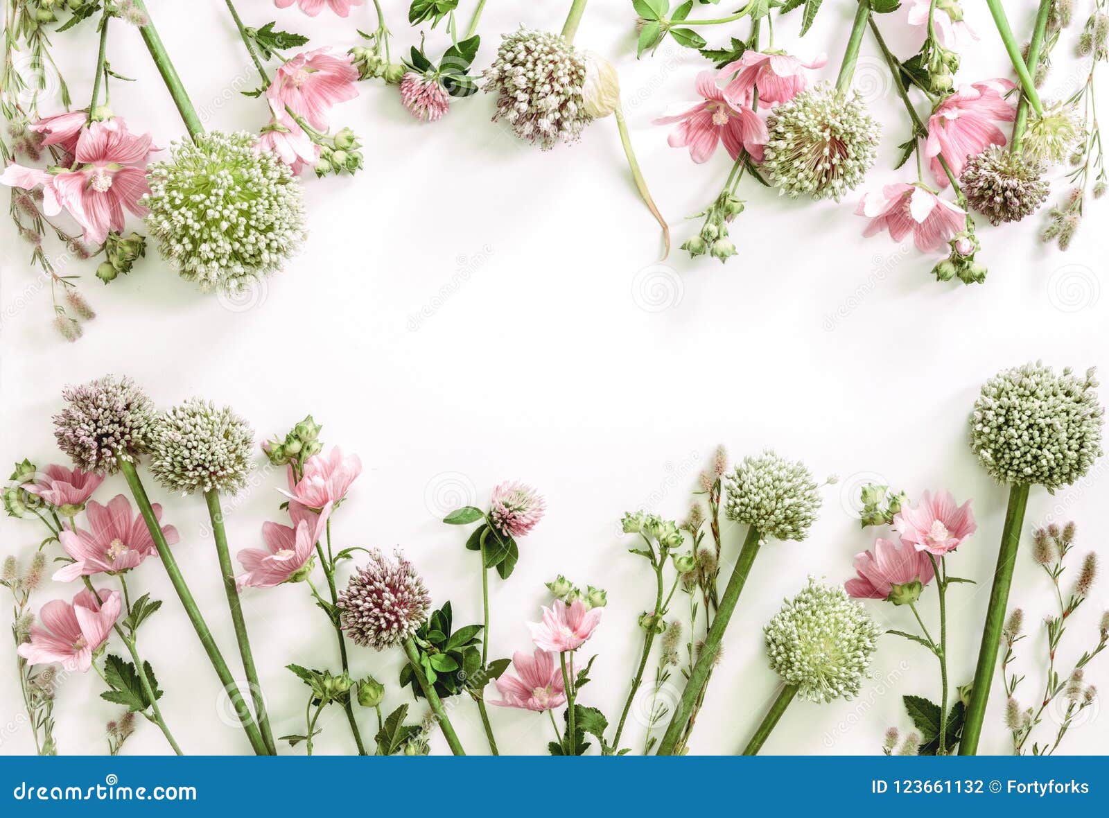 Floral Background with a Space for a Text Stock Photo - Image of flower ...