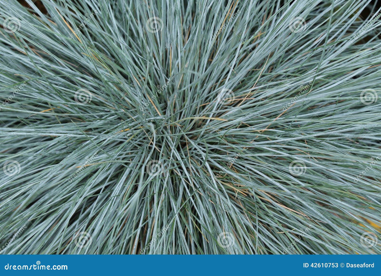 Floral Background. stock image. Image of colour, background - 42610753