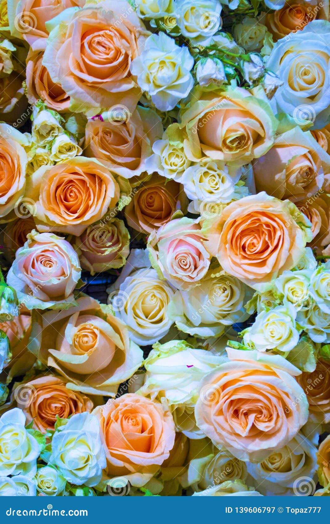 Floral Background of White and Orange Roses Stock Image - Image of love ...