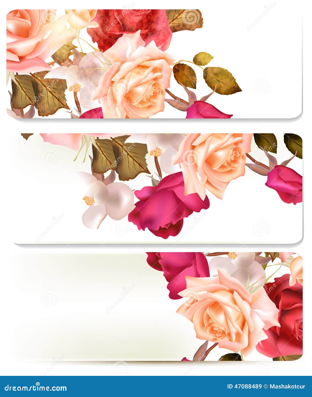 Floral Backgrounds Set with Roses Stock Vector - Illustration of floral ...
