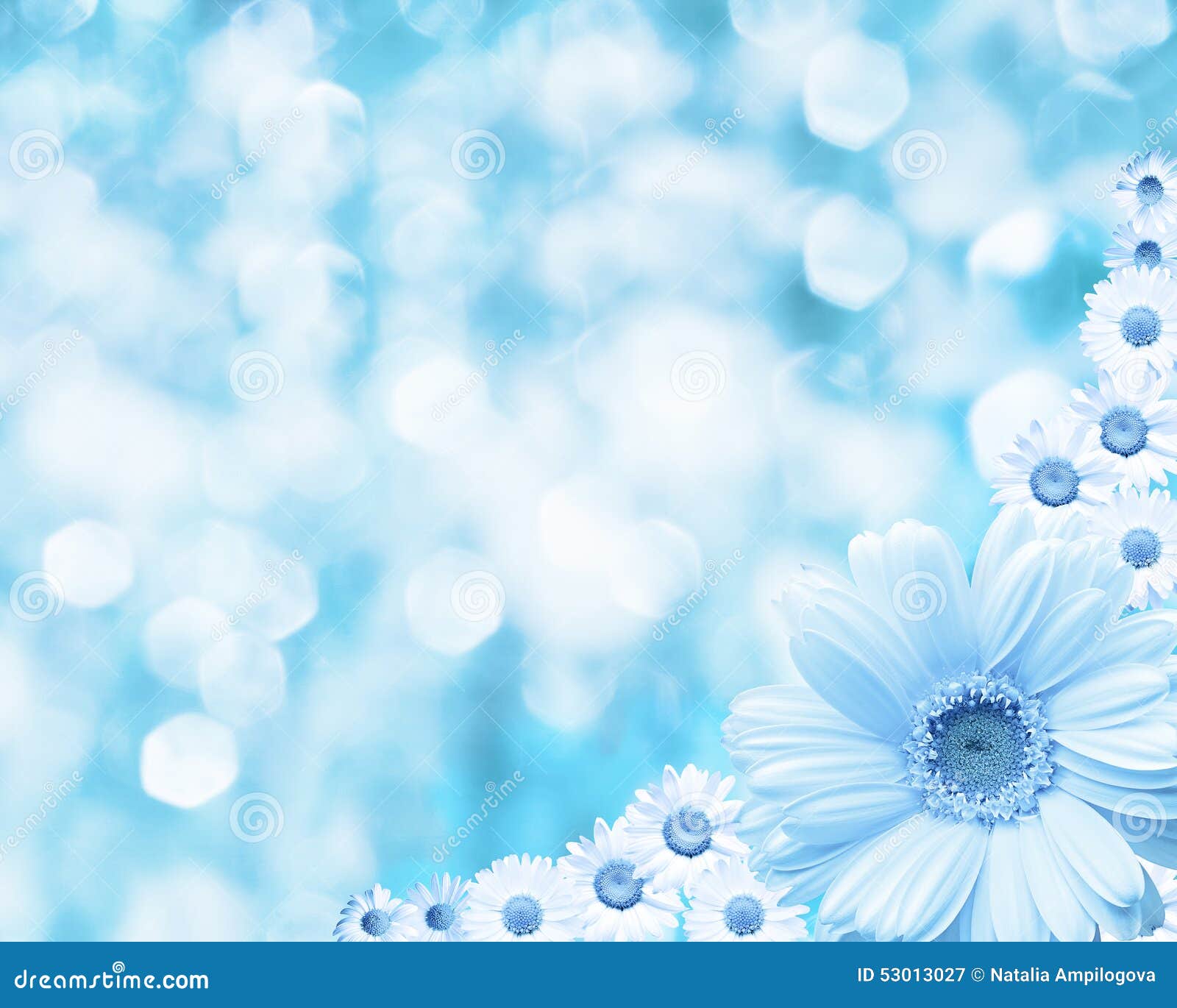 Floral Border Blurred Background, Flowers Chamomile Stock Image - Image ...