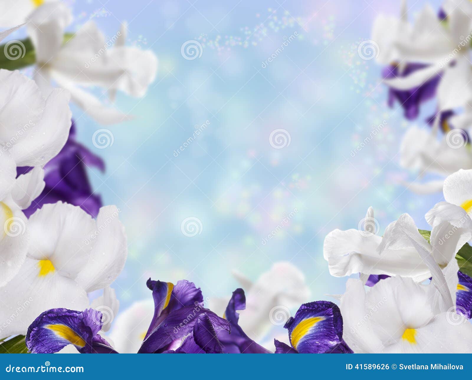 Floral Border Stock Photography | CartoonDealer.com #19791590