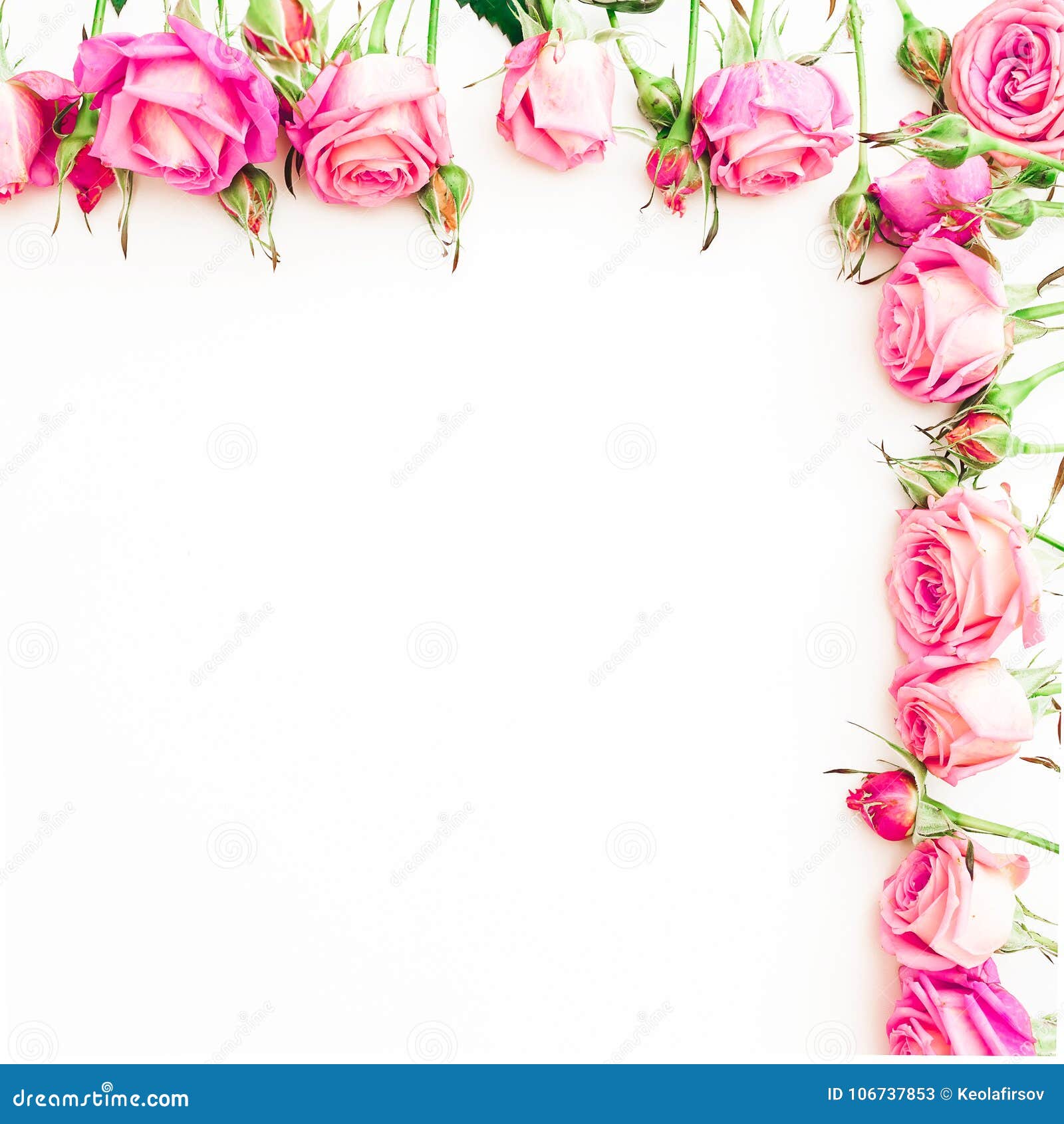 Pink Rose Border
