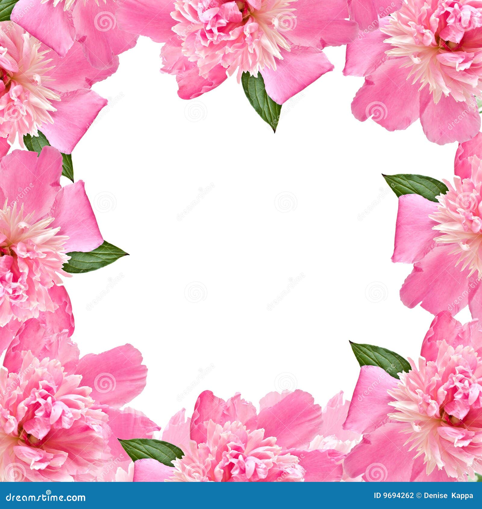 Floral Border - Pink Stock Photography - Image: 9694262