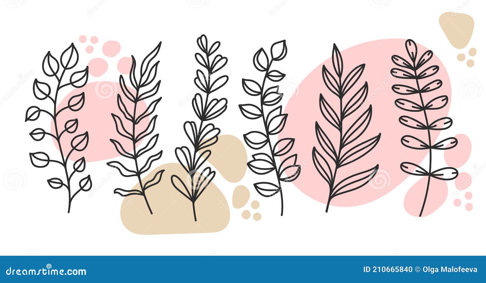 Floral Botanical Doodle Design Elements Vector Set Stock Vector ...