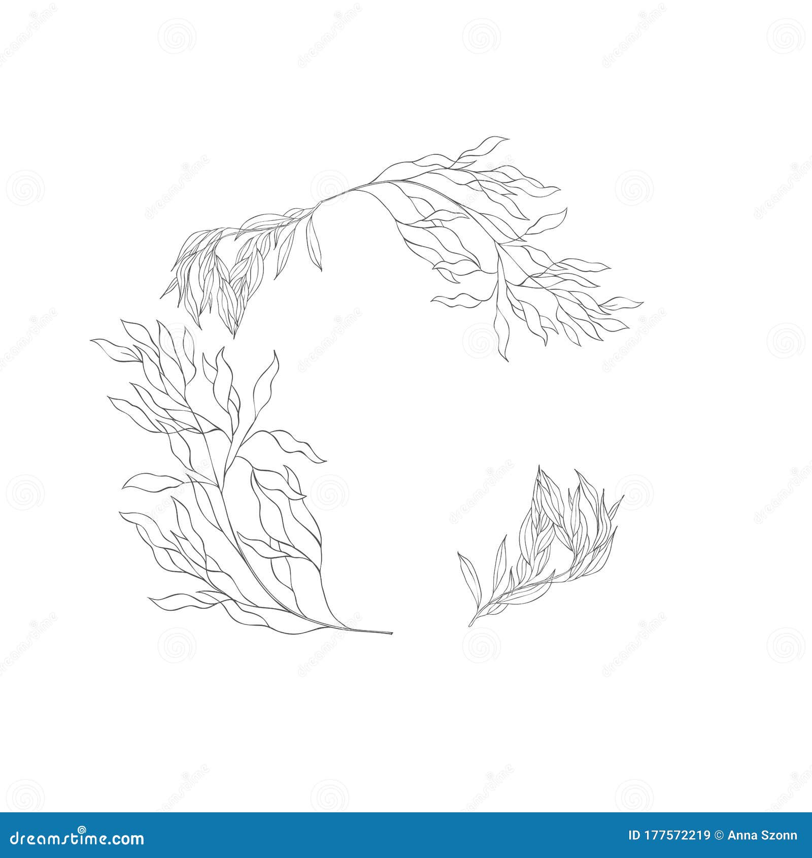 Floral Botanical Frame and Monogram. Stock Vector - Illustration of ...