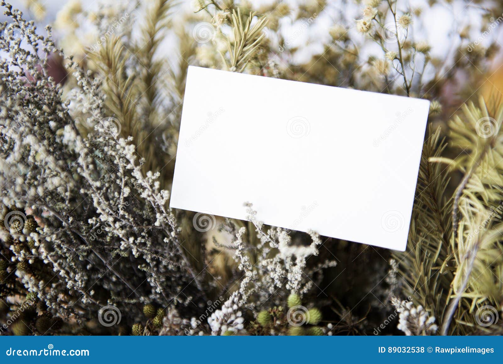 Floral Botany Name Card Background Concept Stock Photo - Image of ...