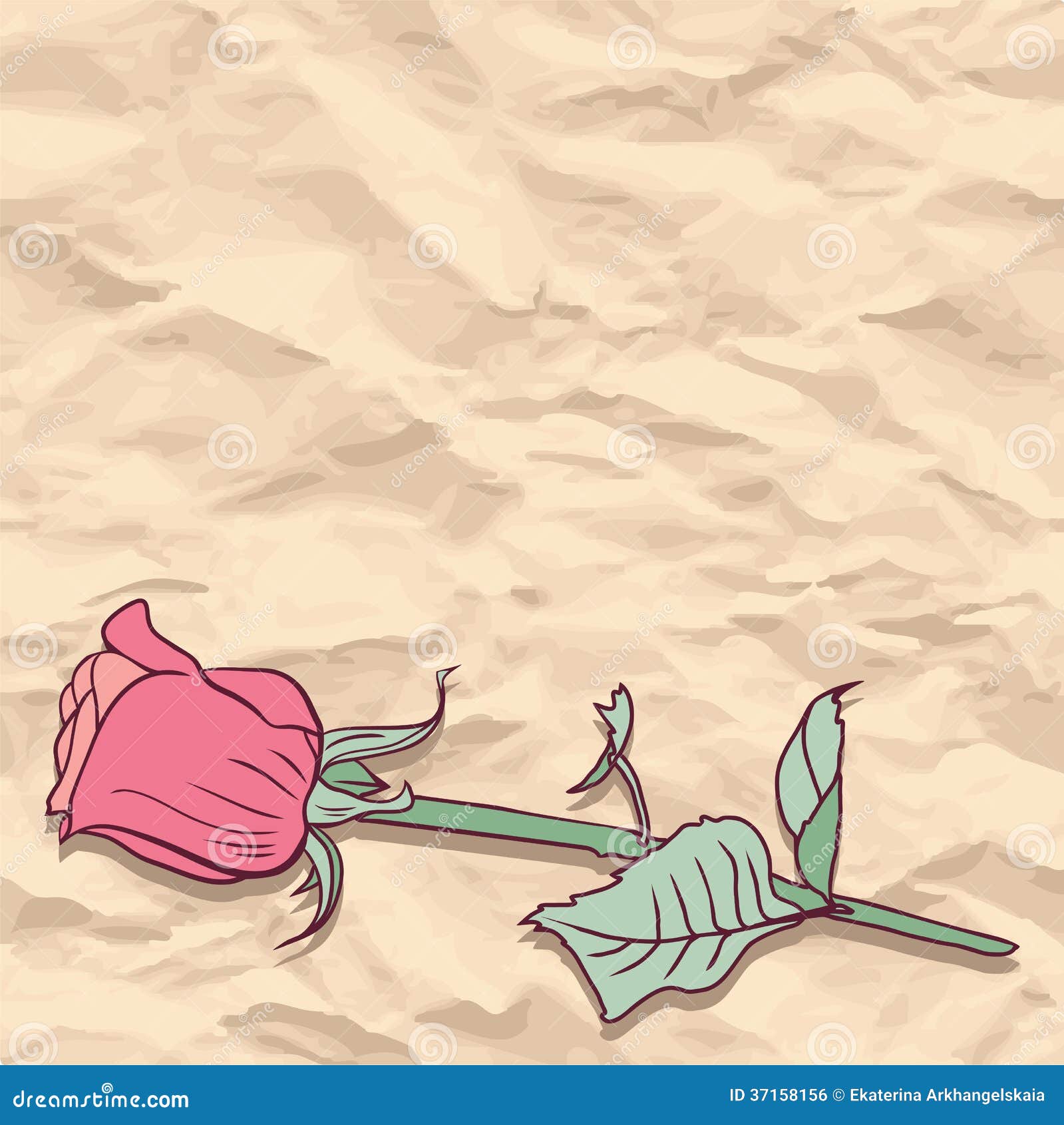 Floral card with roses stock vector. Illustration of drawing - 37158156